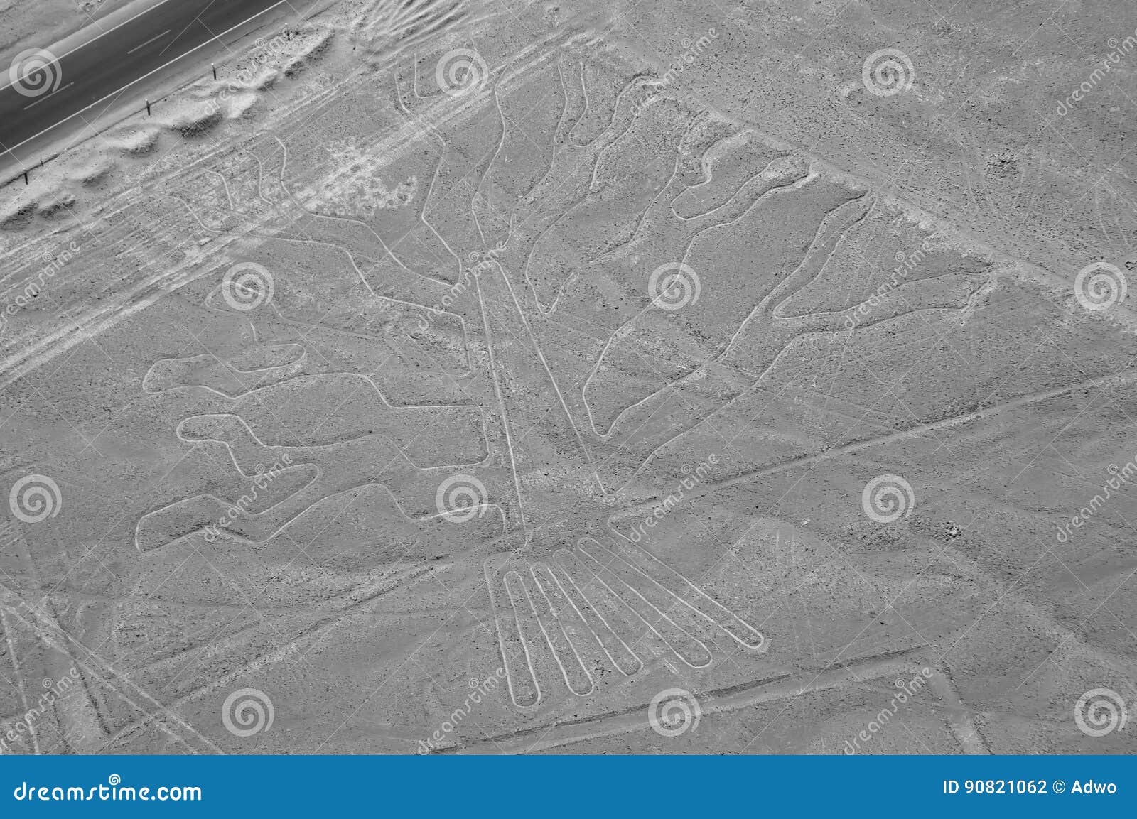 The Tree - Nasca Lines - Peru Stock Photo - Image of tree, nasca: 90821062