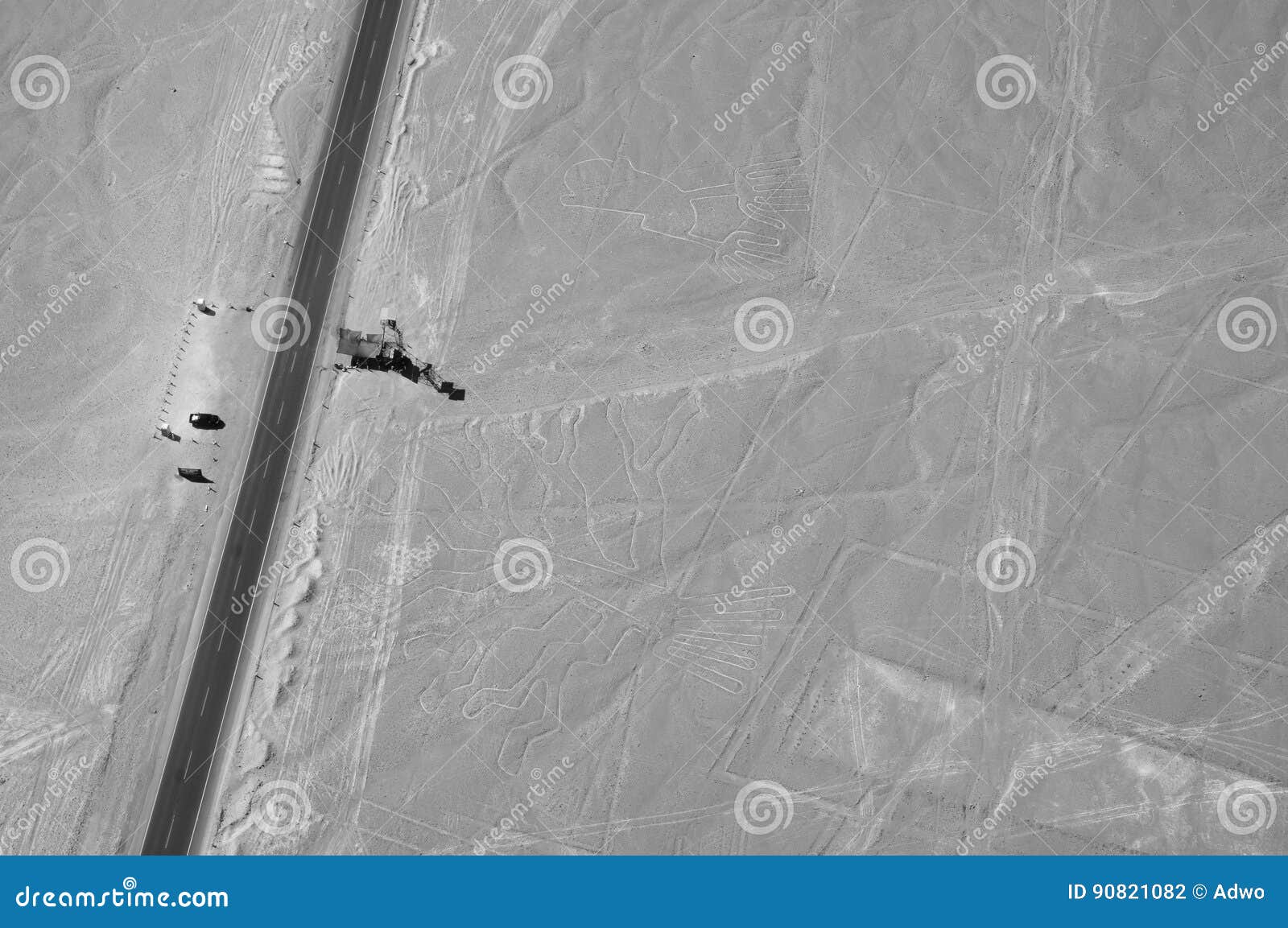 The Tree - Nasca Lines - Peru Stock Photo - Image of airplane, geoglyph ...