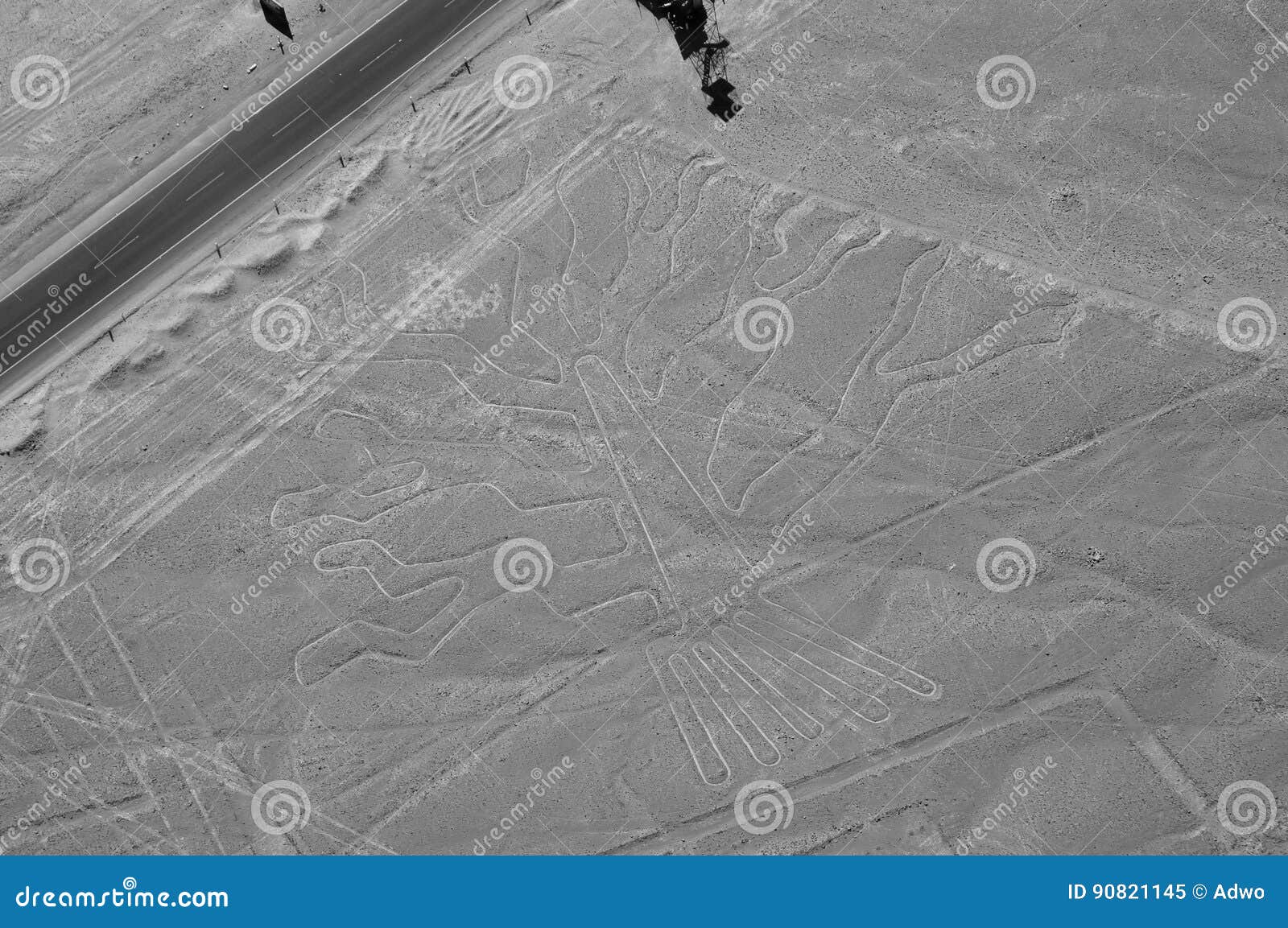 The Tree - Nasca Lines - Peru Stock Image - Image of ancient, culture ...