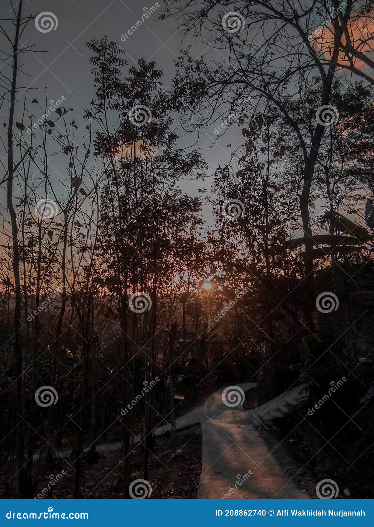 Tree Natural Beautiful Photo Sunset Dust Stock Photo - Image of ...