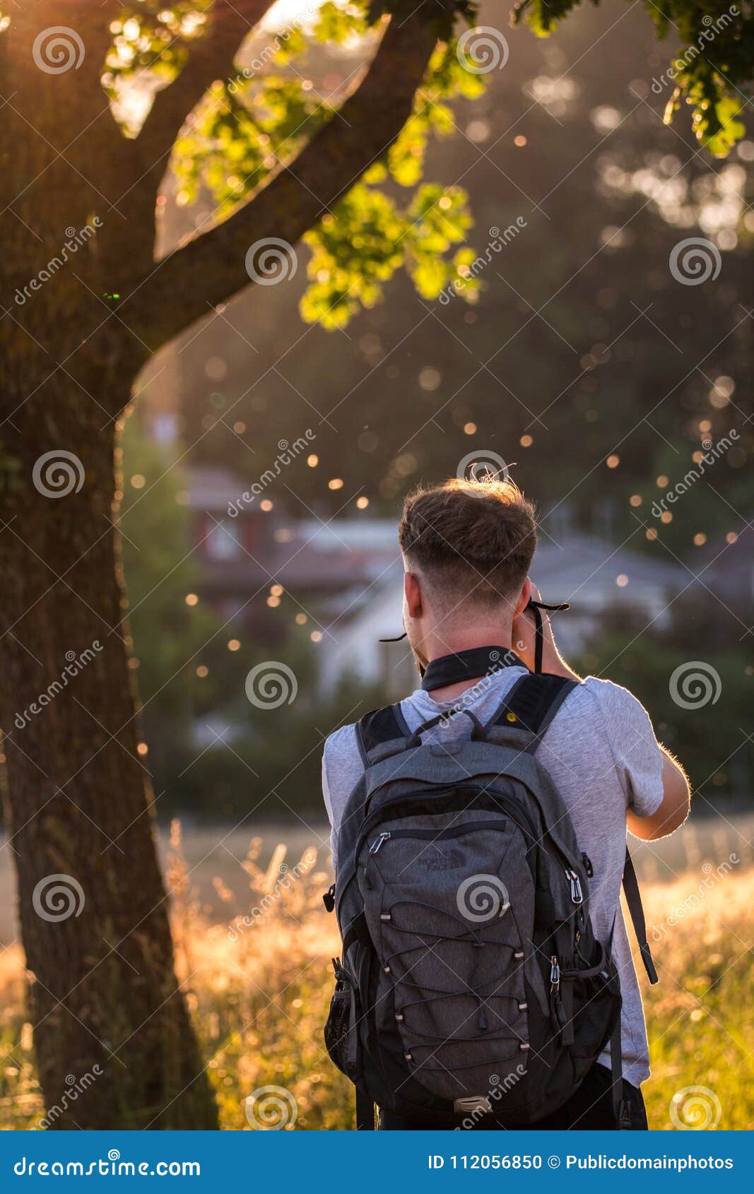 Tree, Nature, Photograph, Man Picture. Image: 112056850