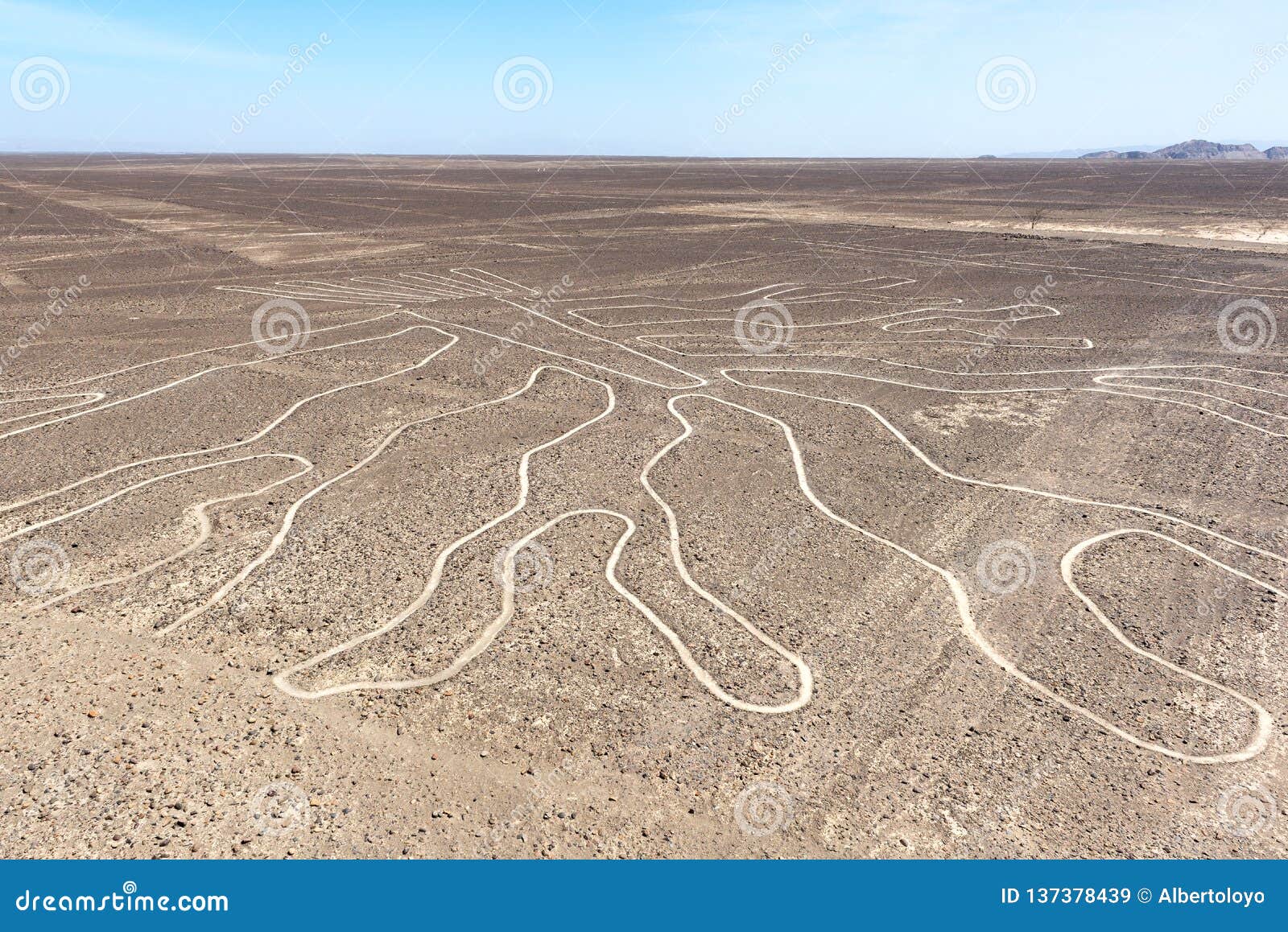 The Tree Nazca Line, Peru stock image. Image of observation - 137378439