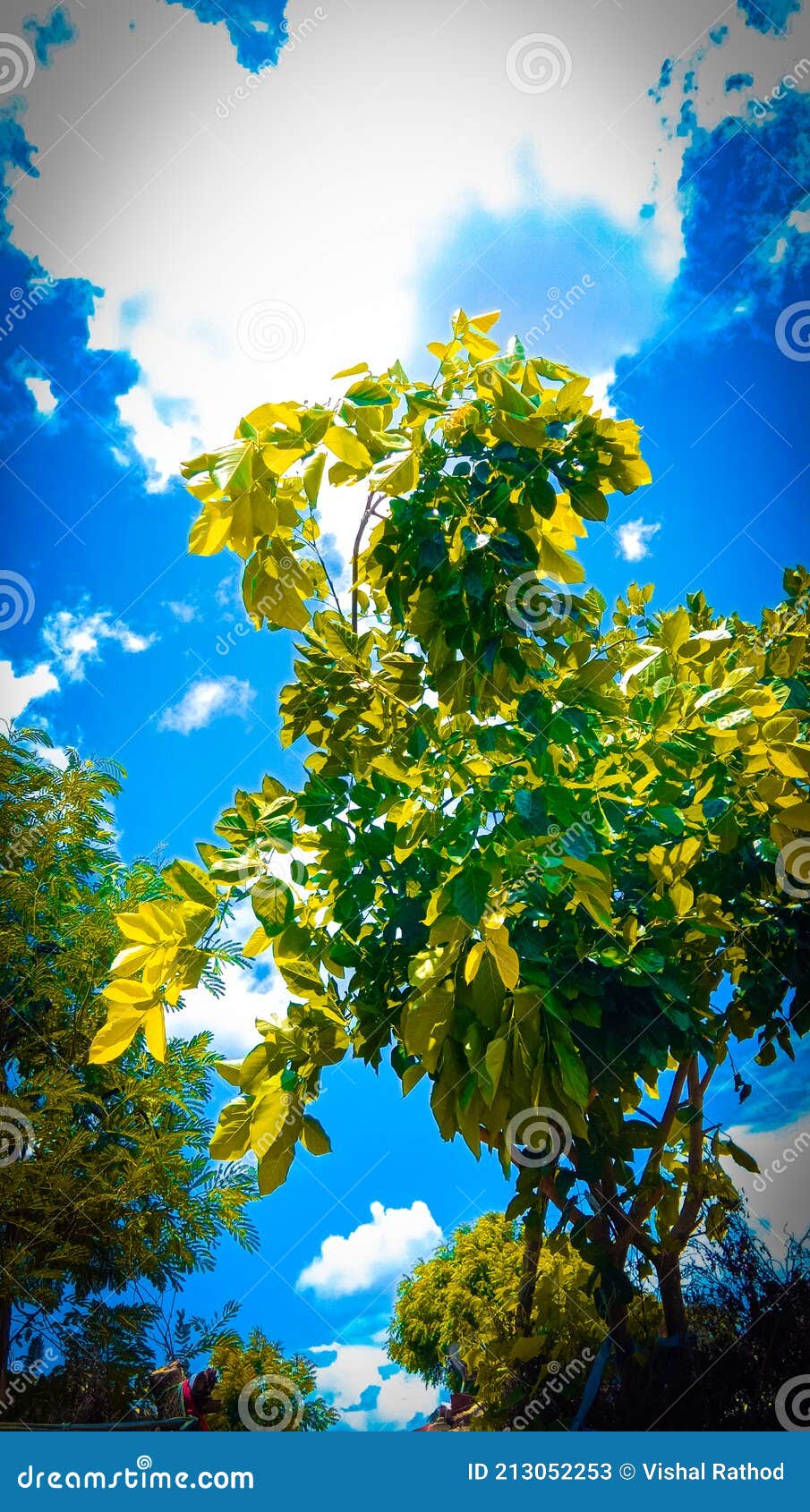 Neacher Stock Photos - Free & Royalty-Free Stock Photos from Dreamstime