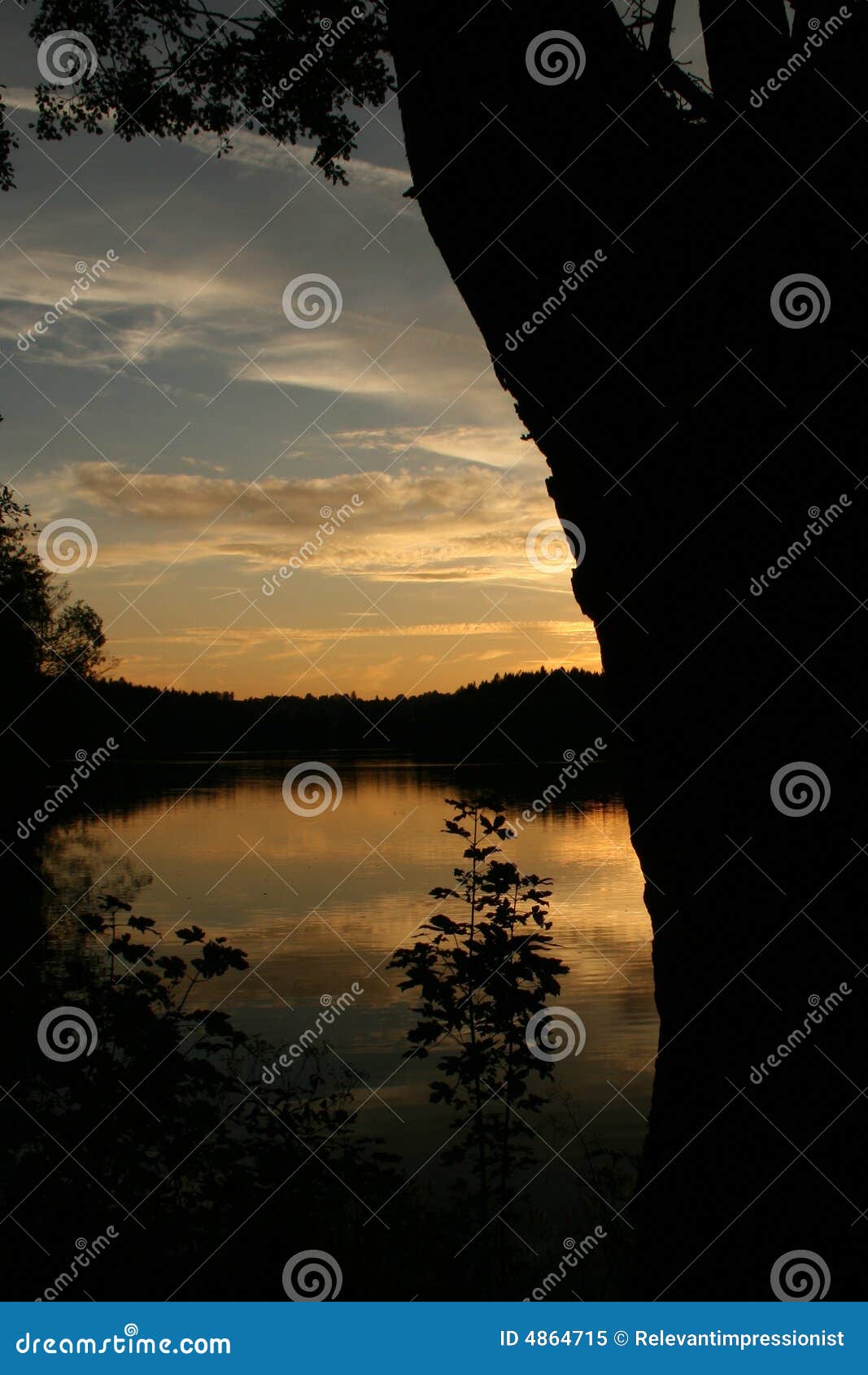 Tree near lake stock image. Image of sunset, landscape - 4864715