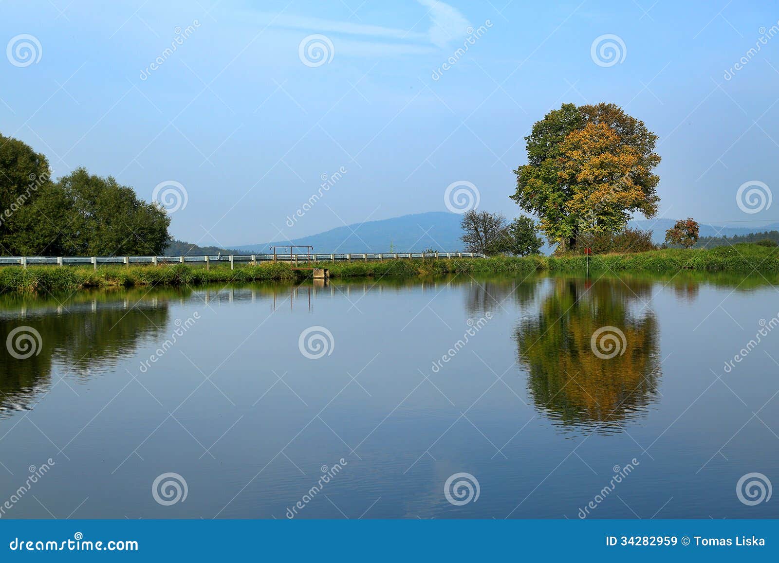 Tree near the pond stock image. Image of leaves, branch - 34282959