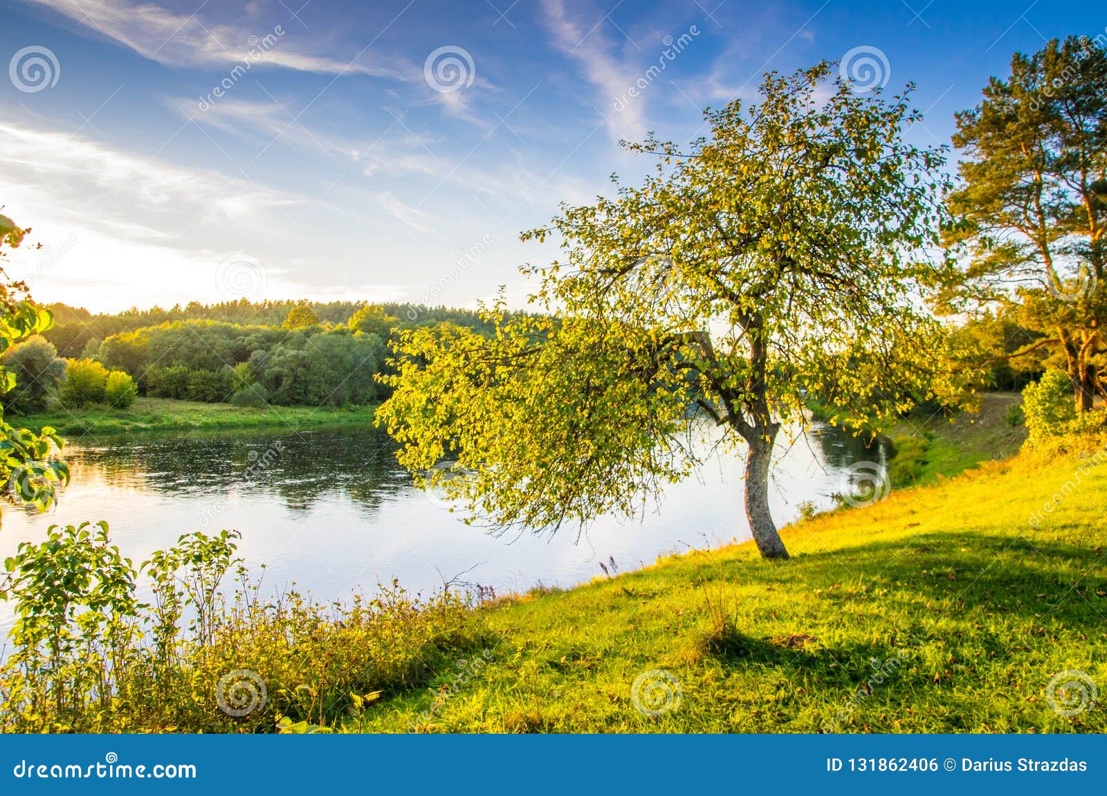 Tree Near River, Scenic Nature Landscape Stock Photo - Image of time ...