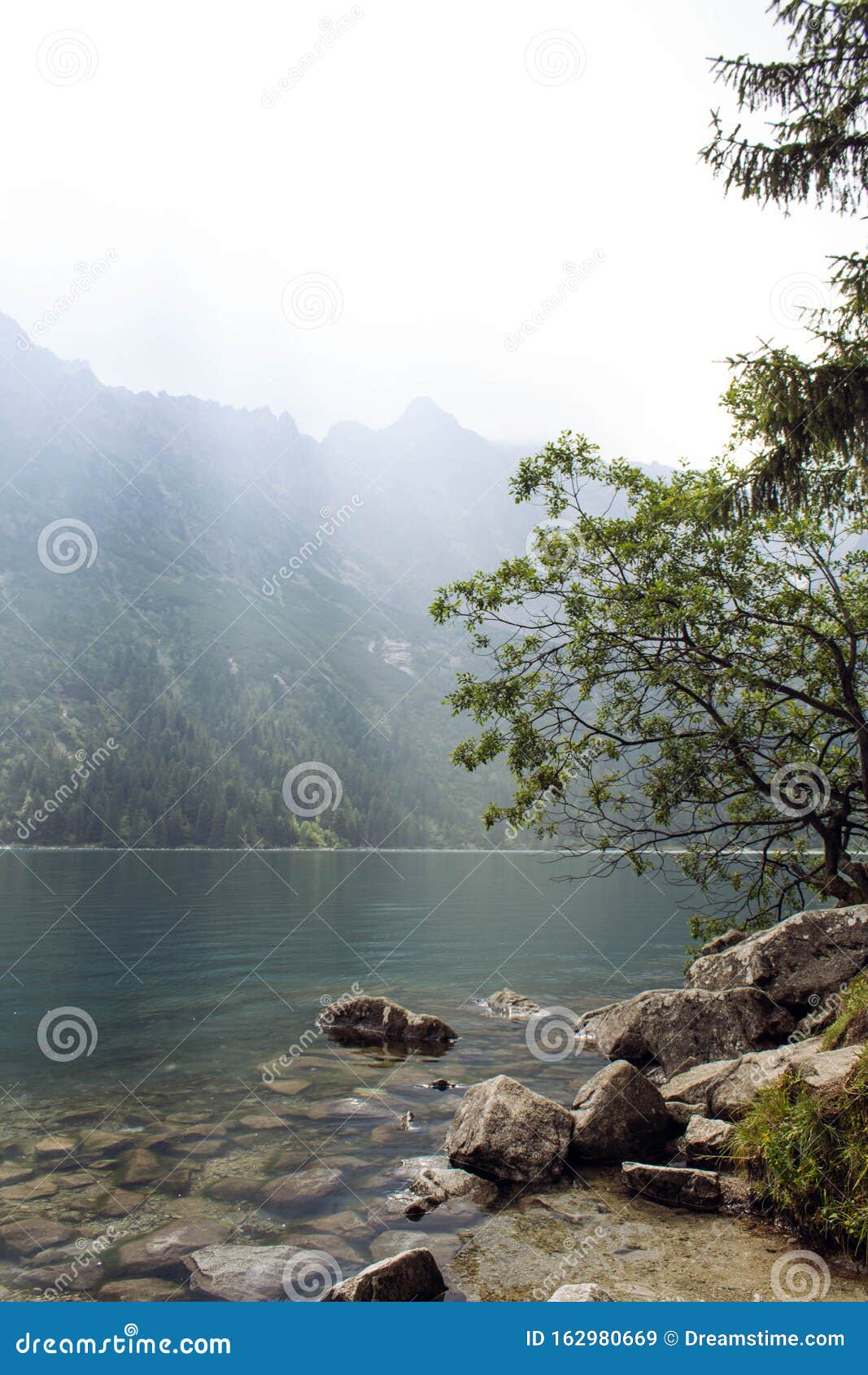 Tree Next To a Rocky Mountain Lake Stock Image - Image of pine, alps ...