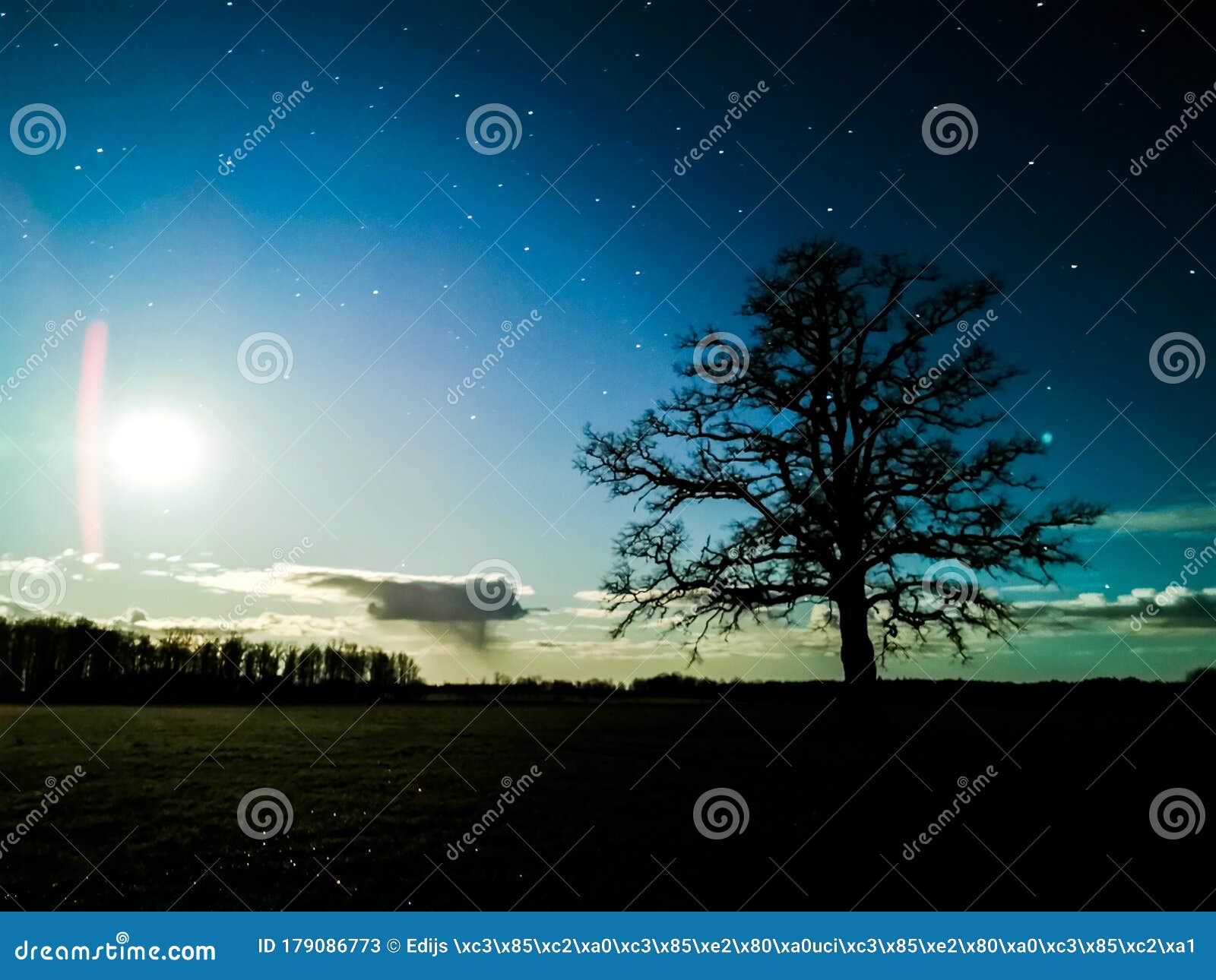 Tree in night stock image. Image of star, night, tree - 179086773