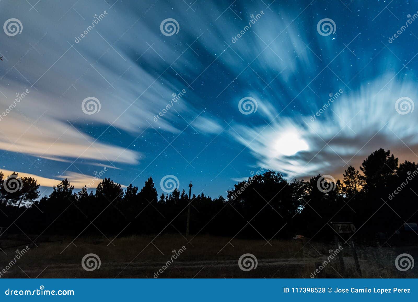 Tree at Night with Moonlight Stock Photo - Image of tree, moonlight ...