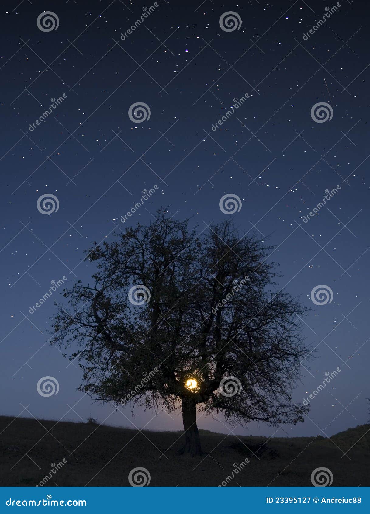 Tree at Night with Moon and Stars Stock Image - Image of black ...