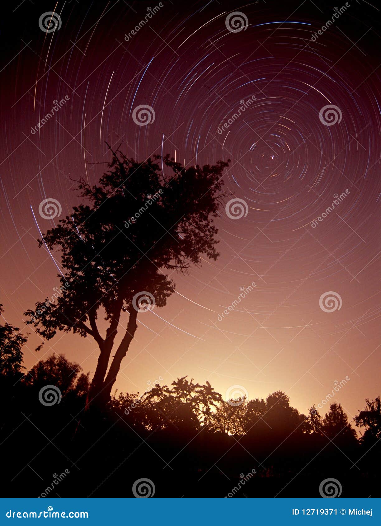 Tree and Night Sky. stock image. Image of murk, mauve - 12719371