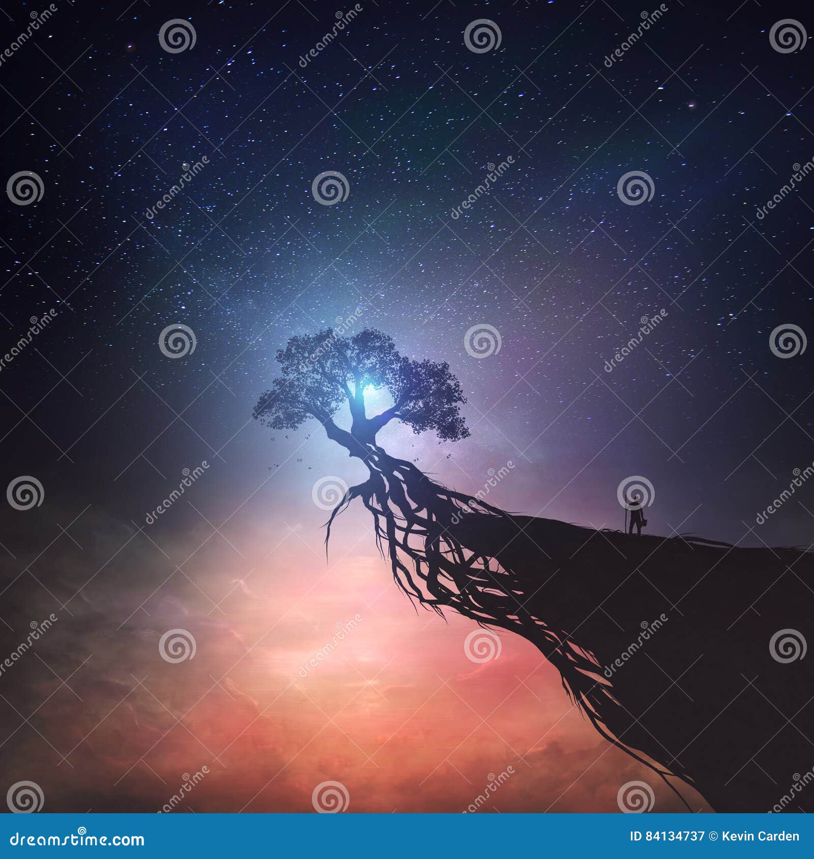 Tree and night sky stock image. Image of night, roots - 84134737
