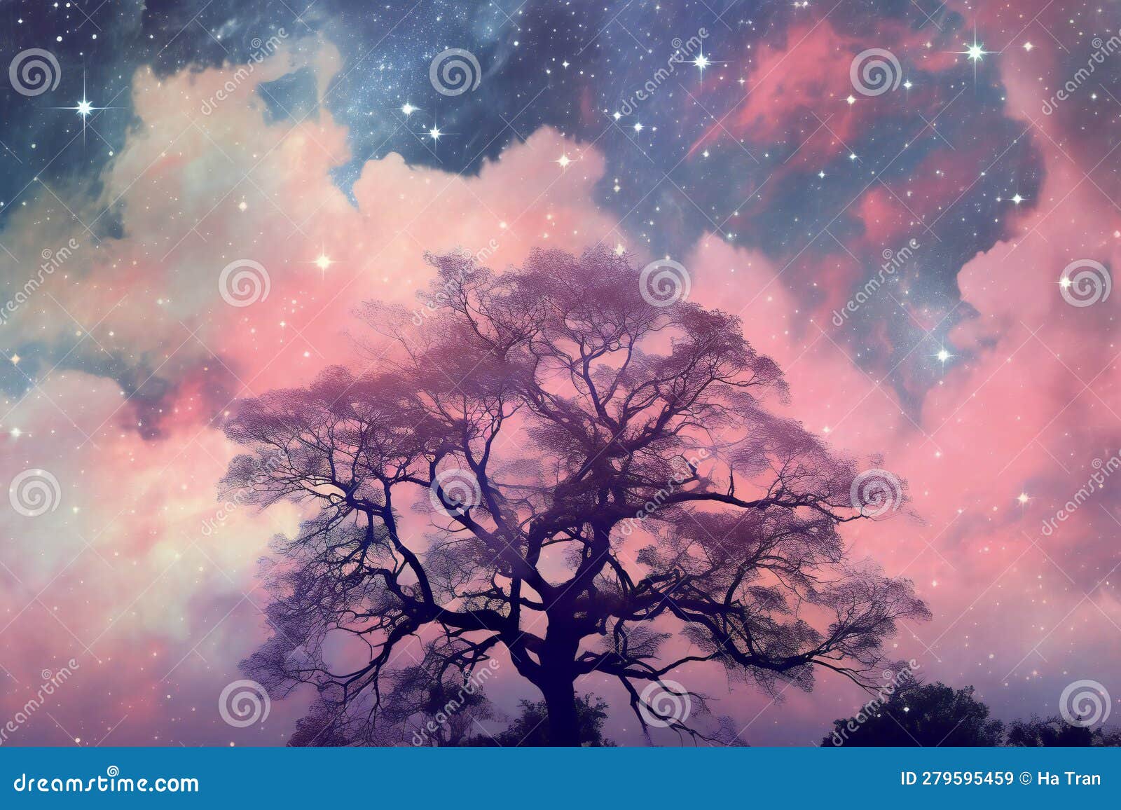 Tree in the Night Sky with Stars, Elements of this Image Furnished ...