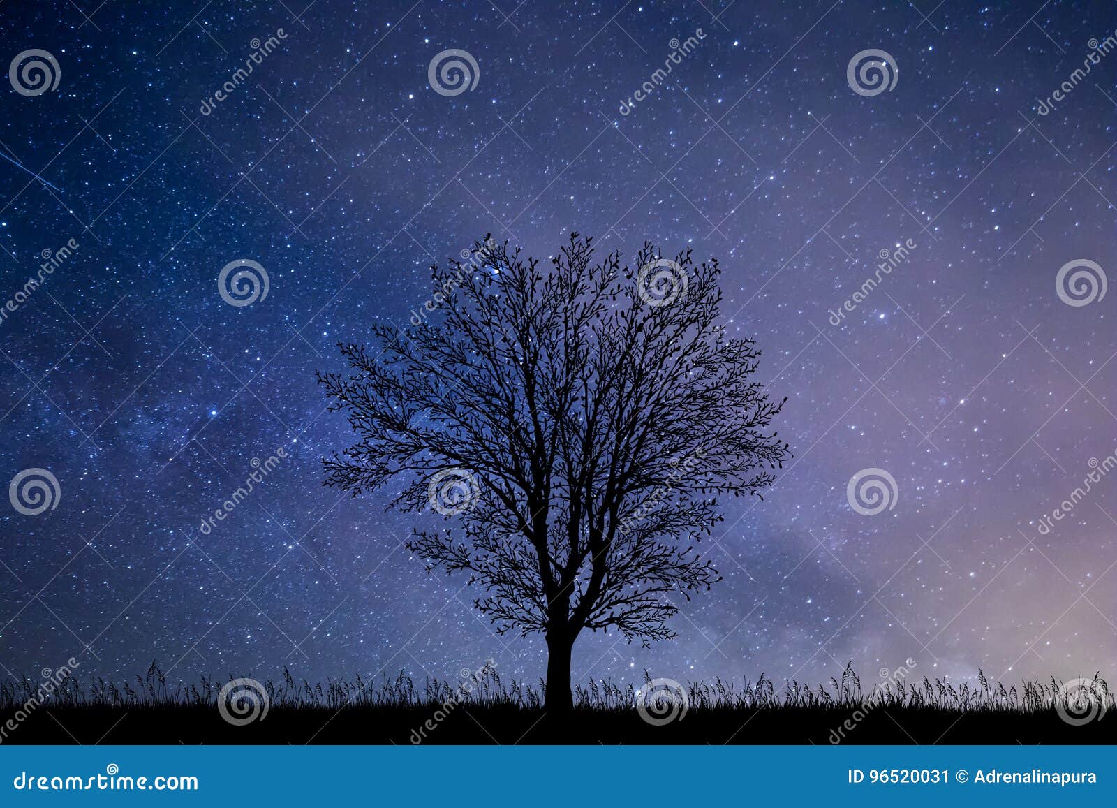 Tree at Night with Starry Sky Stock Illustration - Illustration of ...