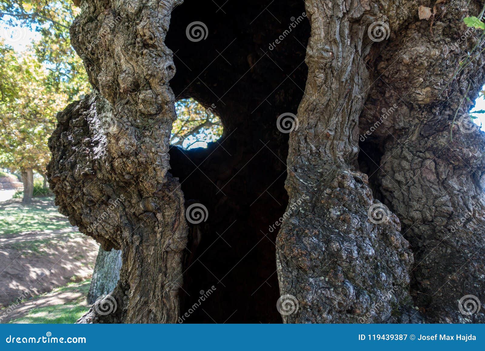 Hole stock image. Image of desert, beautiful, forests - 119439387