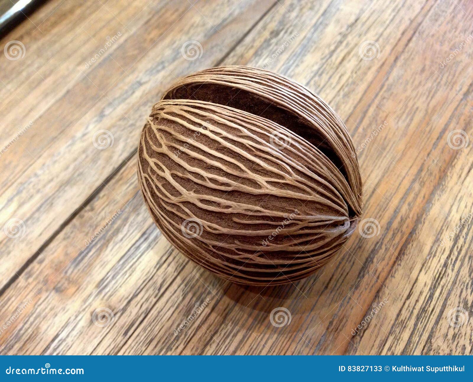 Tree nut stock image. Image of petal, table, nuts, stripe - 83827133