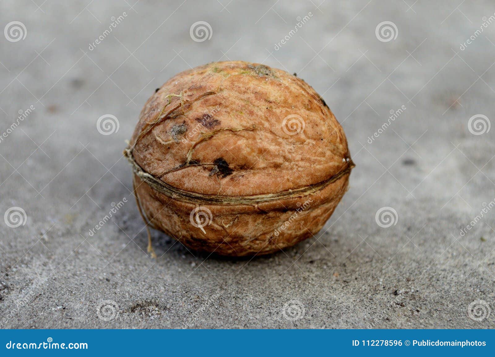 Tree Nuts, Walnut, Nut, Nuts & Seeds Picture. Image: 112278596