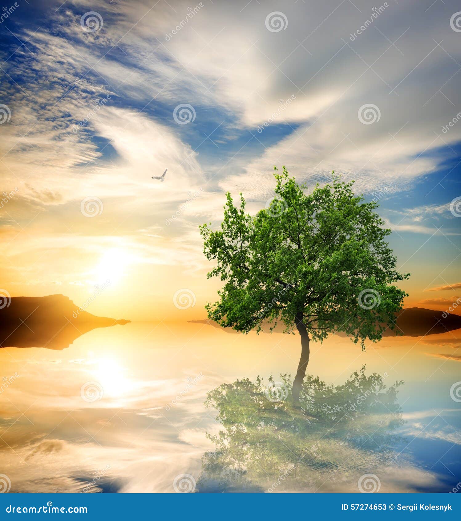 Tree in the ocean stock image. Image of background, island - 57274653