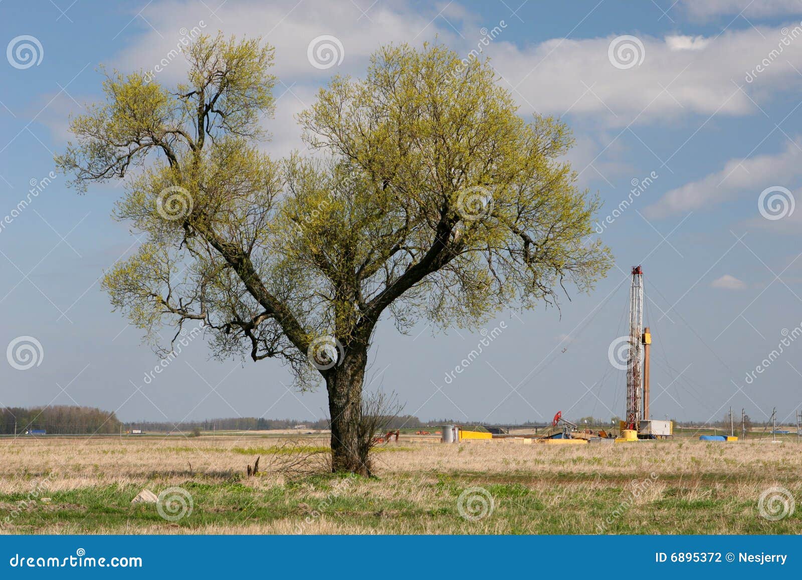 Tree and oil drilling rig stock photo. Image of black - 6895372
