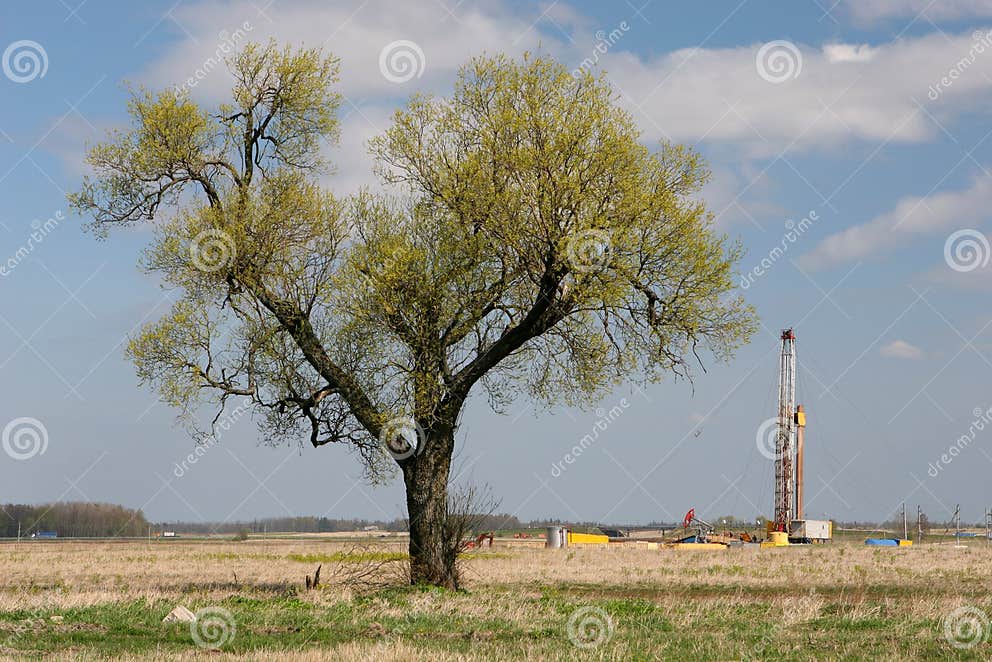 Tree and oil drilling rig stock photo. Image of black - 6895372