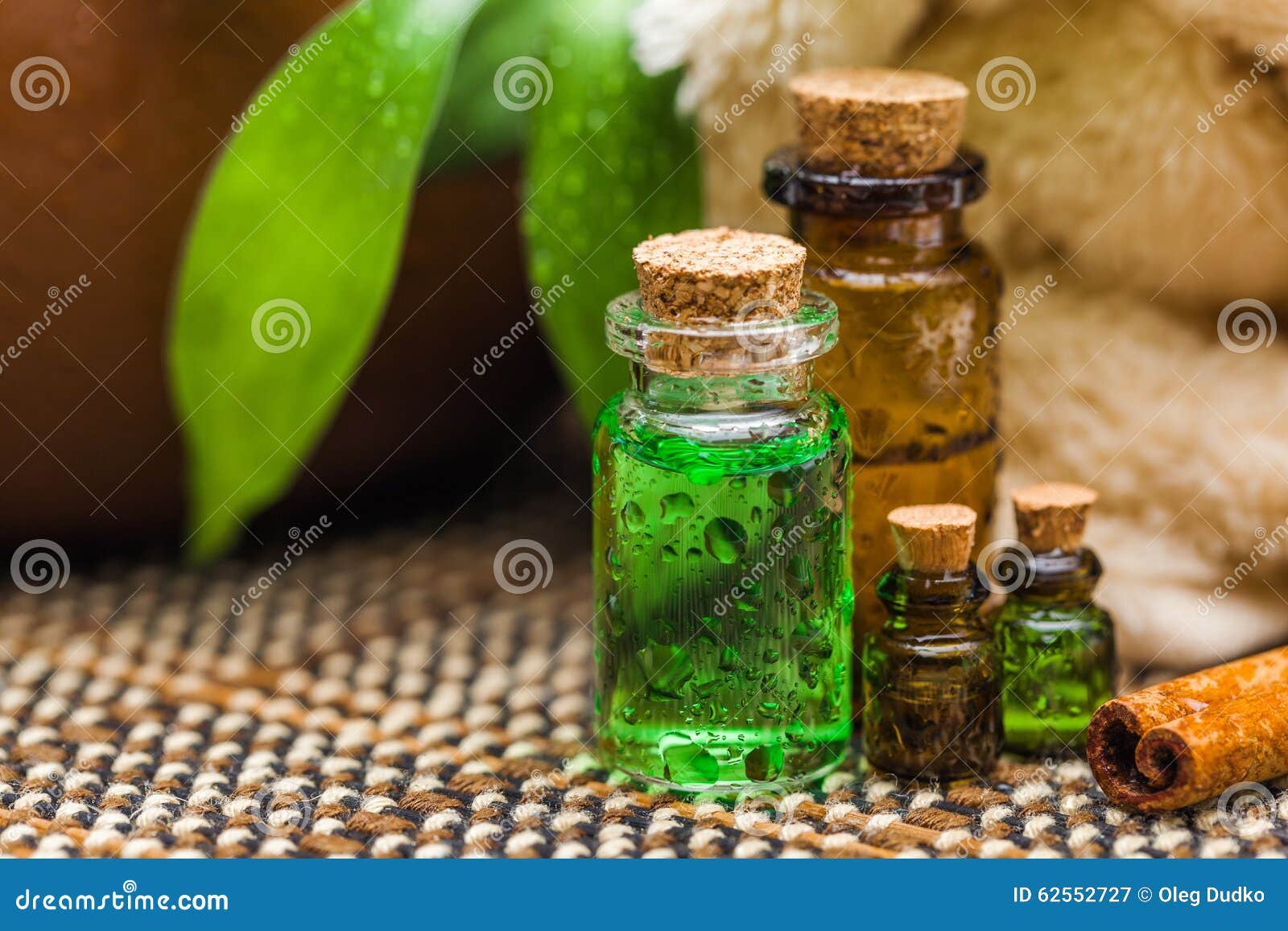 Tree stock image. Image of care, natural, medicine, herbal - 62552727