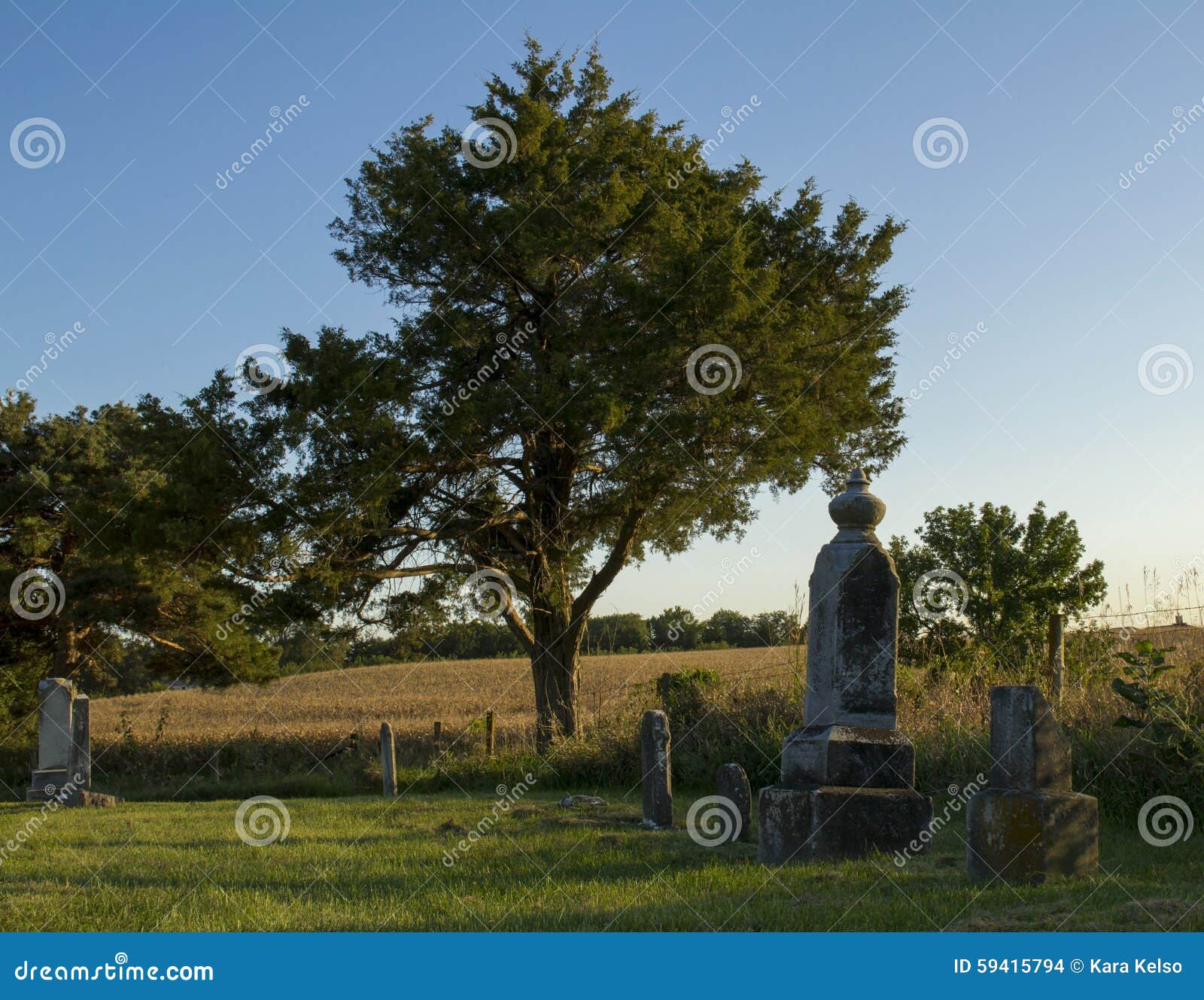 Tree at Old Graveyard stock photo. Image of graveyard - 59415794