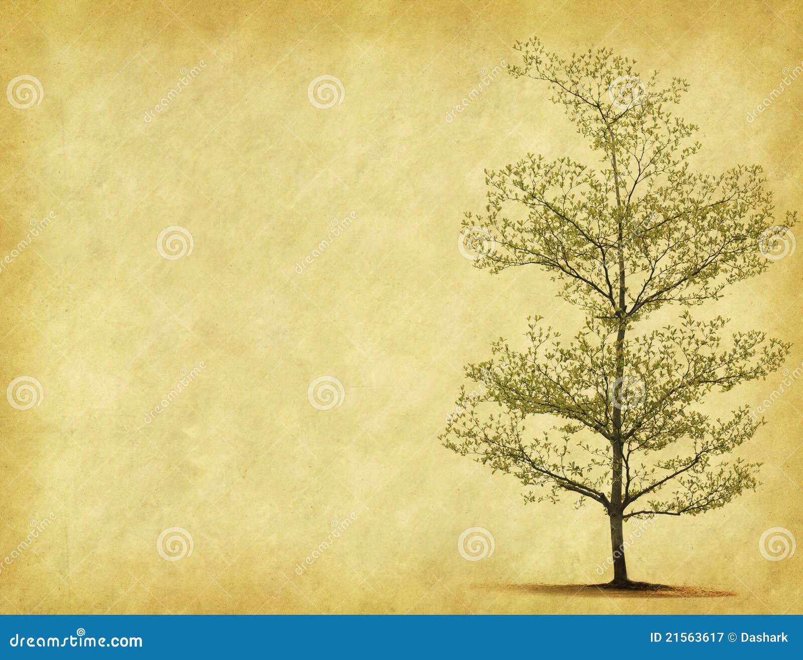 Tree with old paper stock illustration. Illustration of frame - 21563617