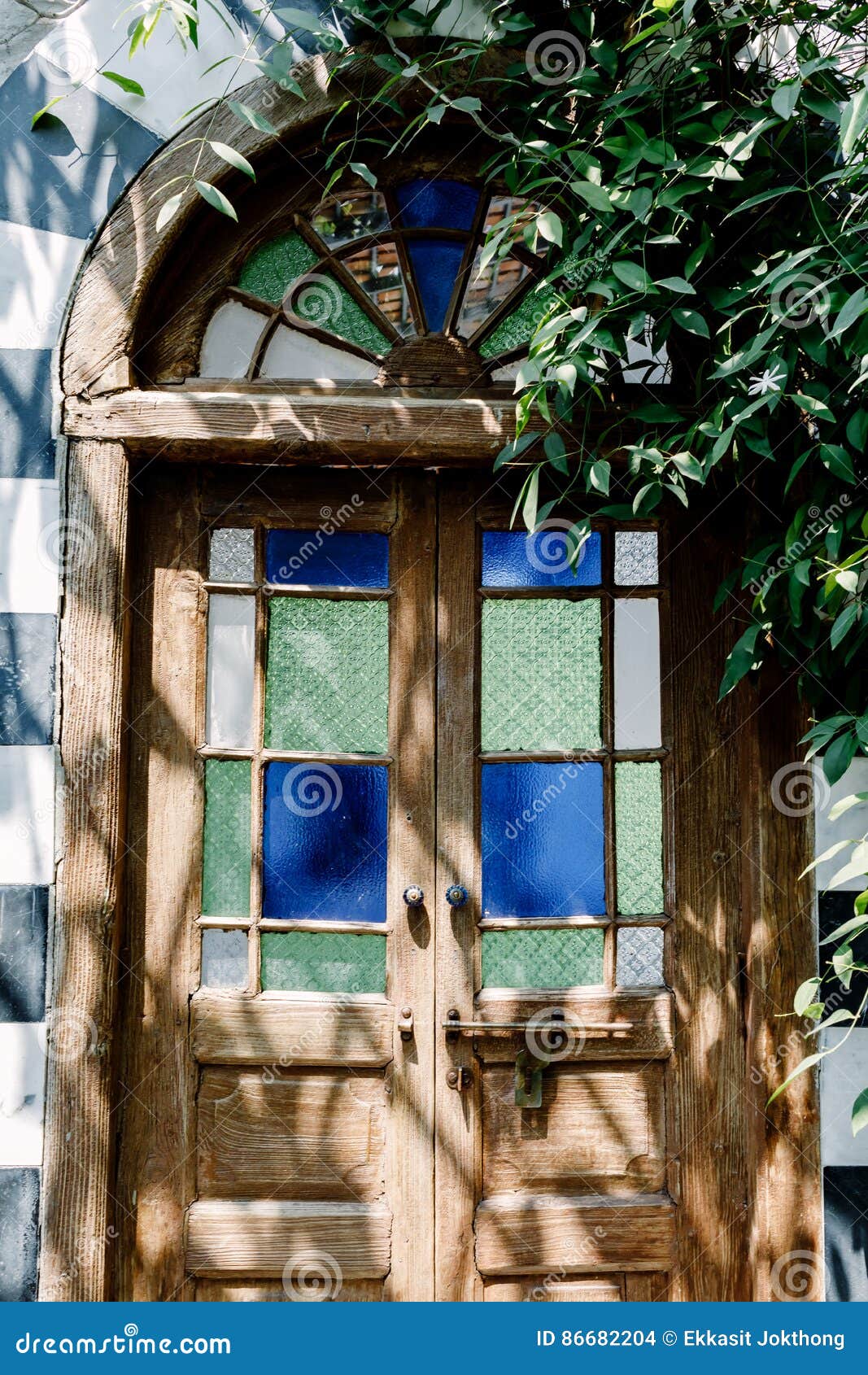 Tree outside on the window stock photo. Image of closeup - 86682204