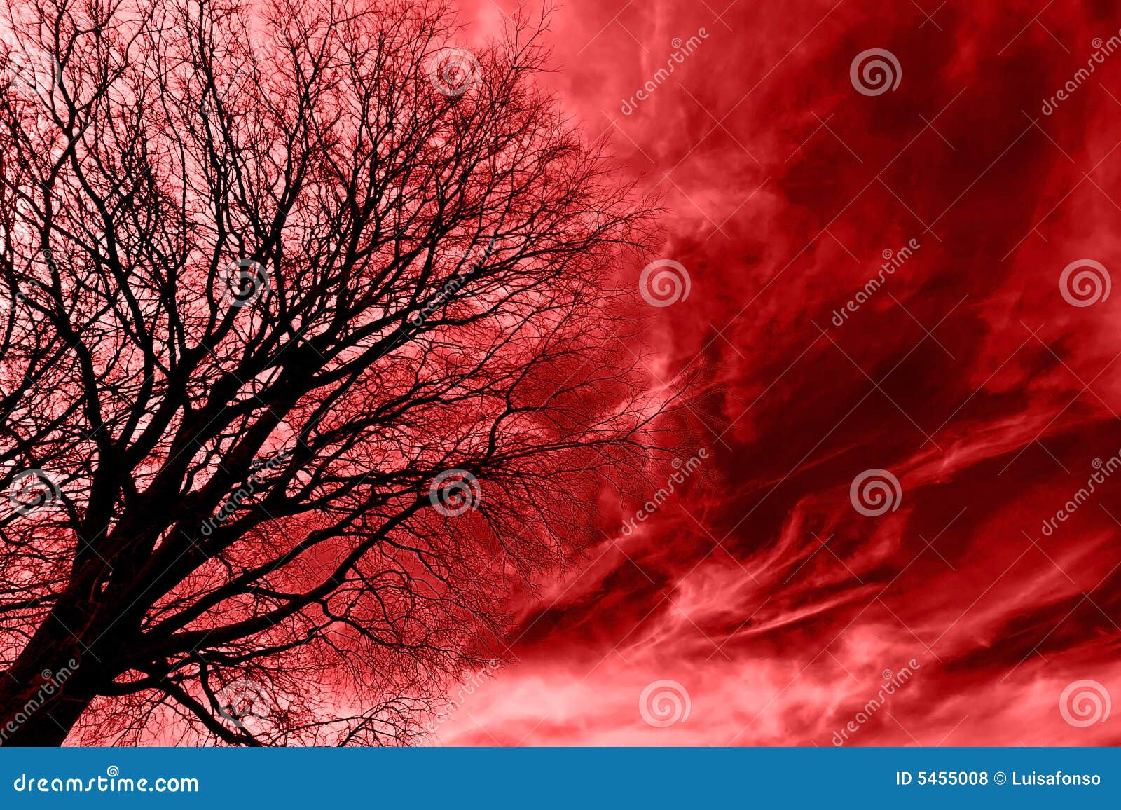 Tree Over Blood stock photo. Image of huge, foliage, backgrounds - 5455008