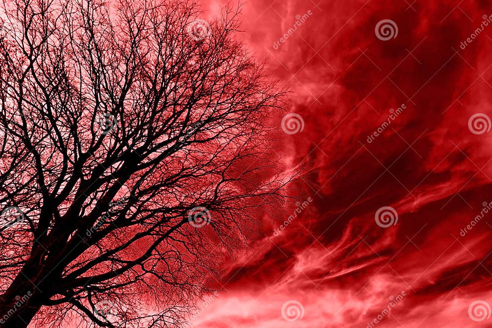 Tree Over Blood stock photo. Image of huge, foliage, backgrounds - 5455008