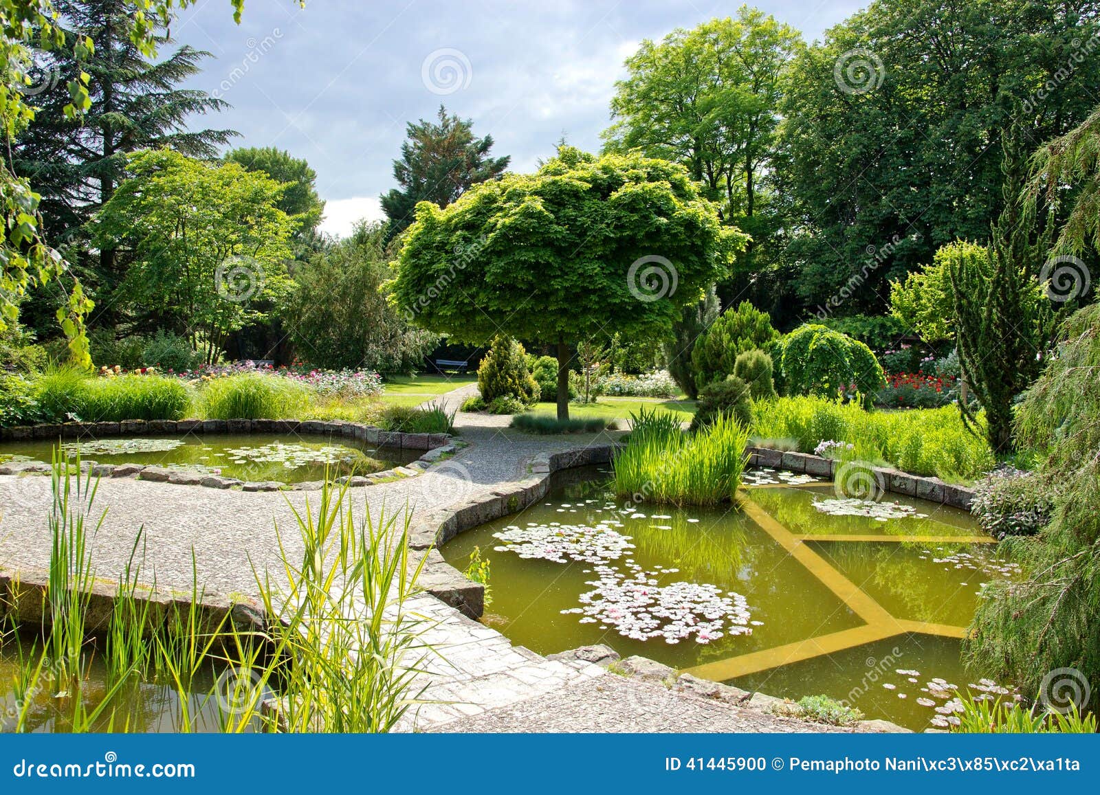 Tree Over Two Water Plant Pools Stock Photo - Image of trees, garden ...