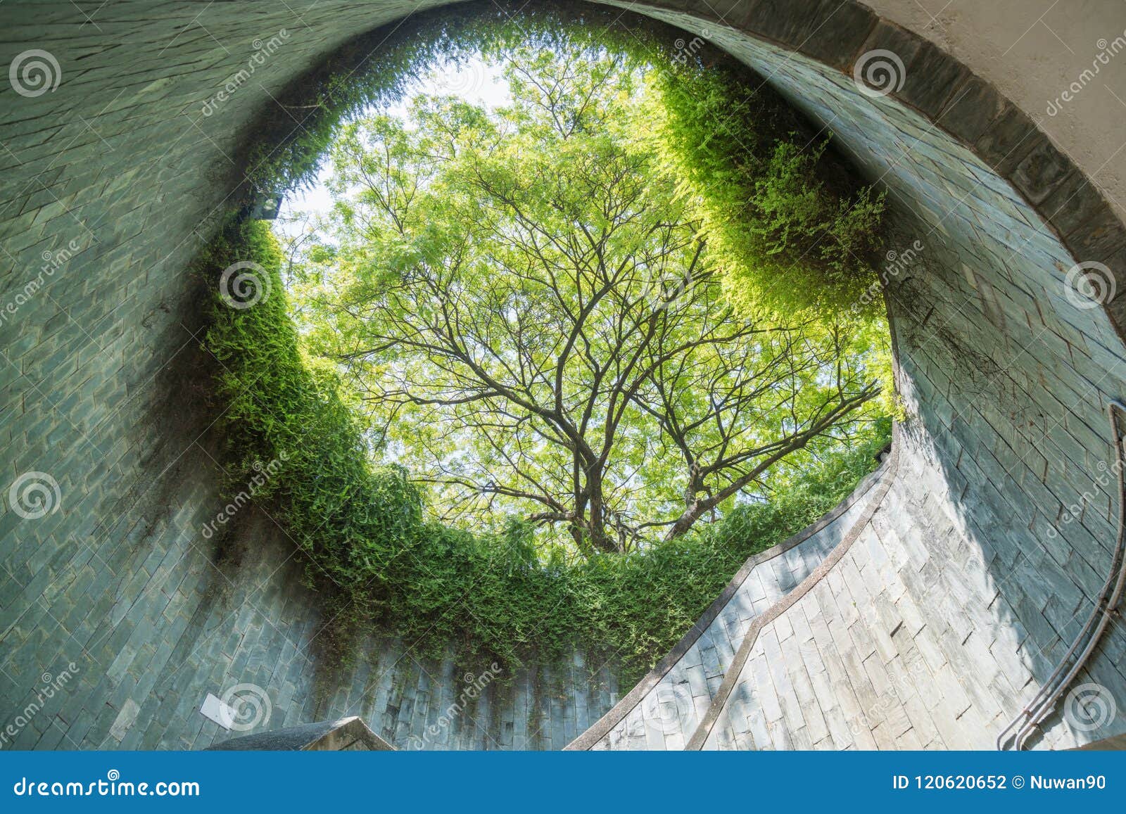 Tree Over Underground Tunnel is a Brick Walkway at Park Stock Photo ...