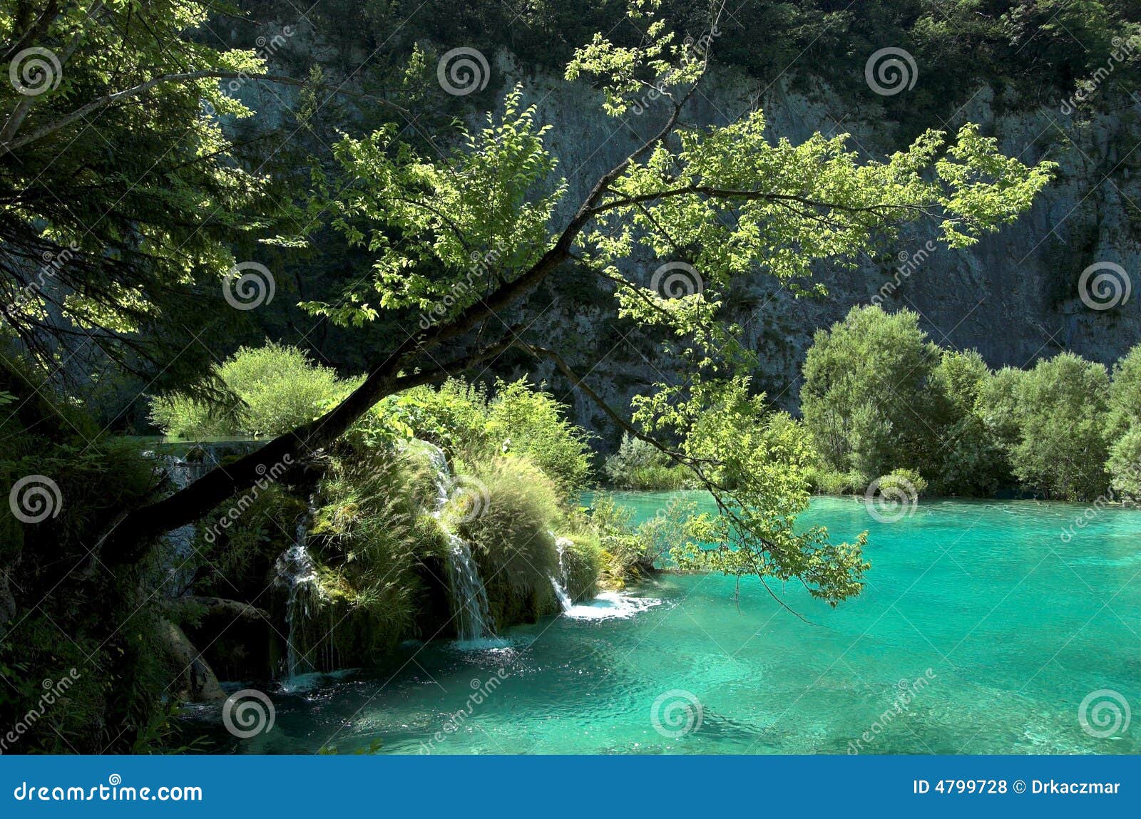 Tree over water cascade stock photo. Image of summer, park - 4799728