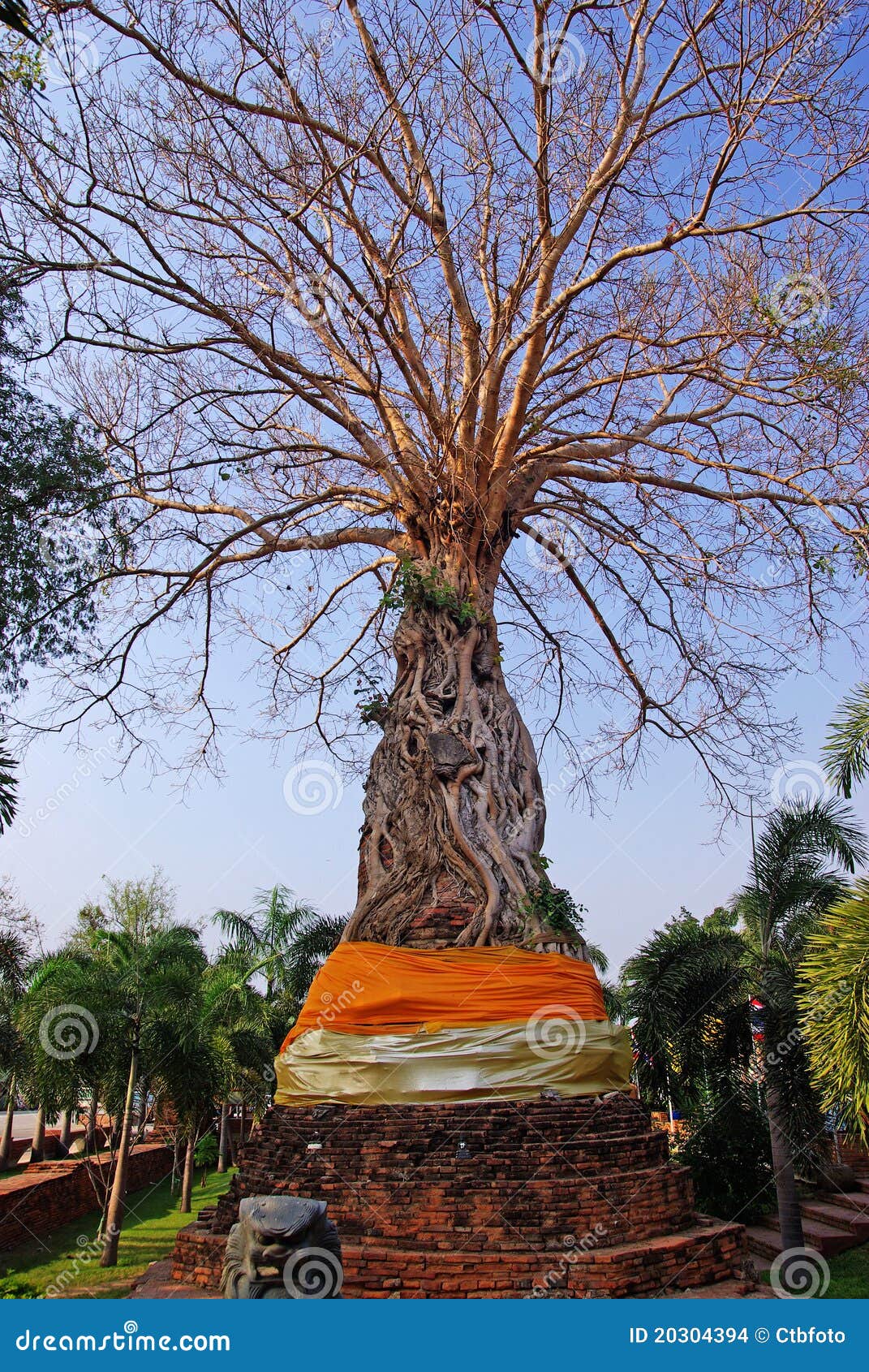 Tree on Pagoda in Thailand stock photo. Image of architecture - 20304394