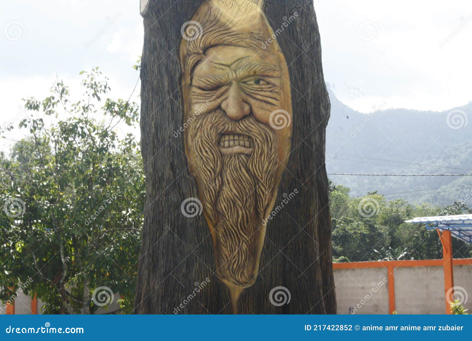 Tree Painting To Old Man Fire Stock Photo - Image of tree, fire: 217422852