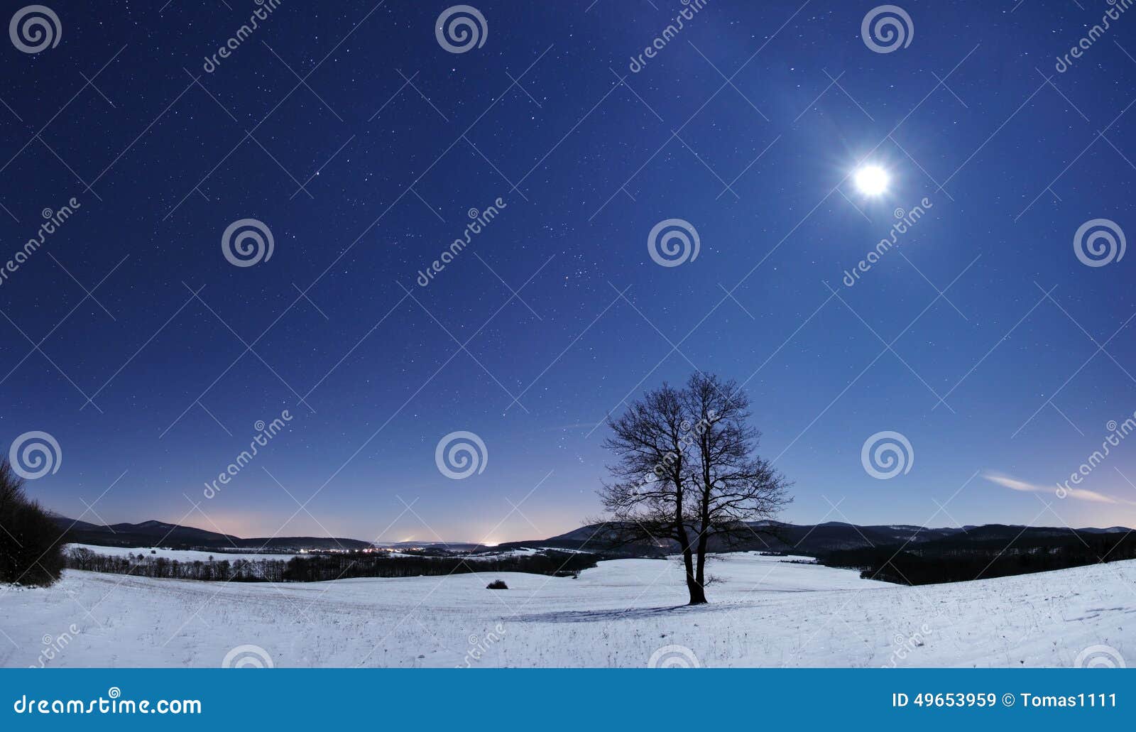 Tree Panorama at Winter Night Stock Image - Image of lake, darkness ...