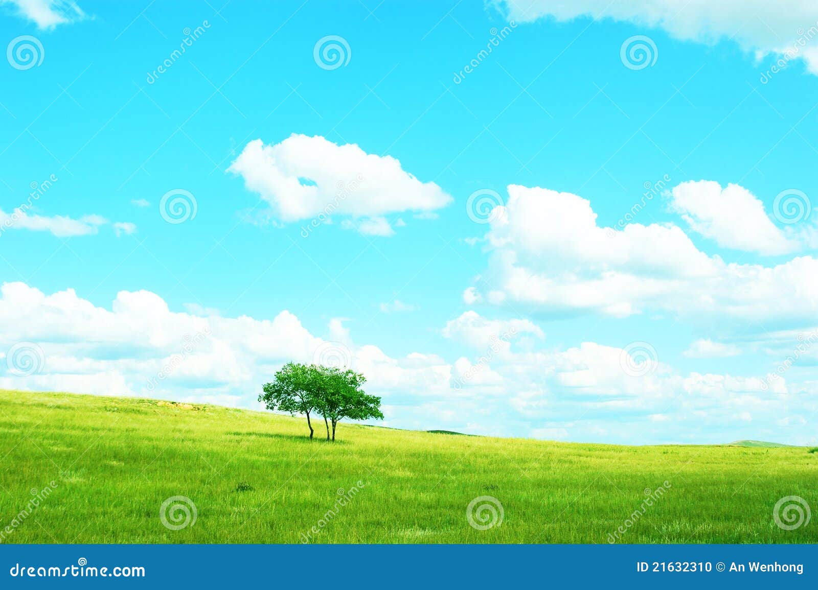 Tree in Panoramic Countryside Stock Photo - Image of bright, landscape ...