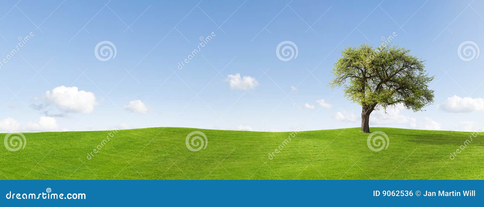 Tree in Panoramic Countryside Stock Photo - Image of cloudscape, blue ...