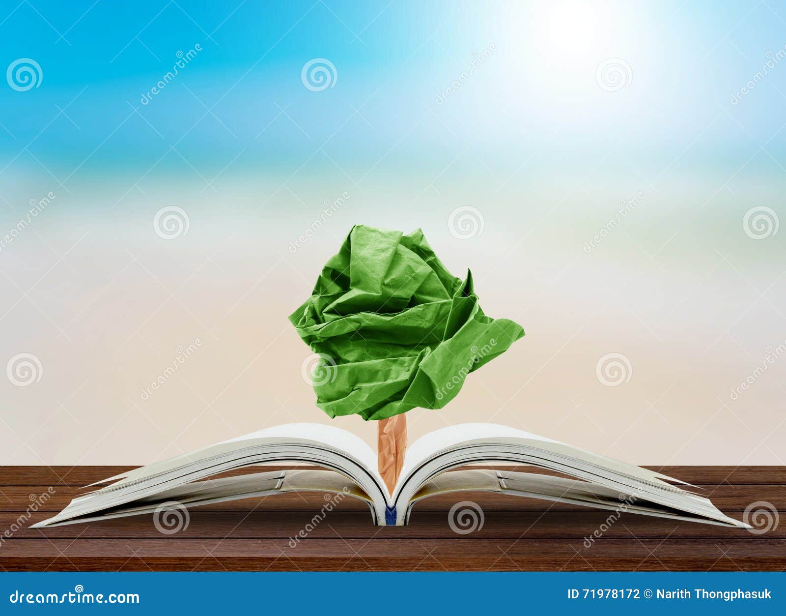 Tree Paper Growing from Book on Table Stock Photo - Image of light ...