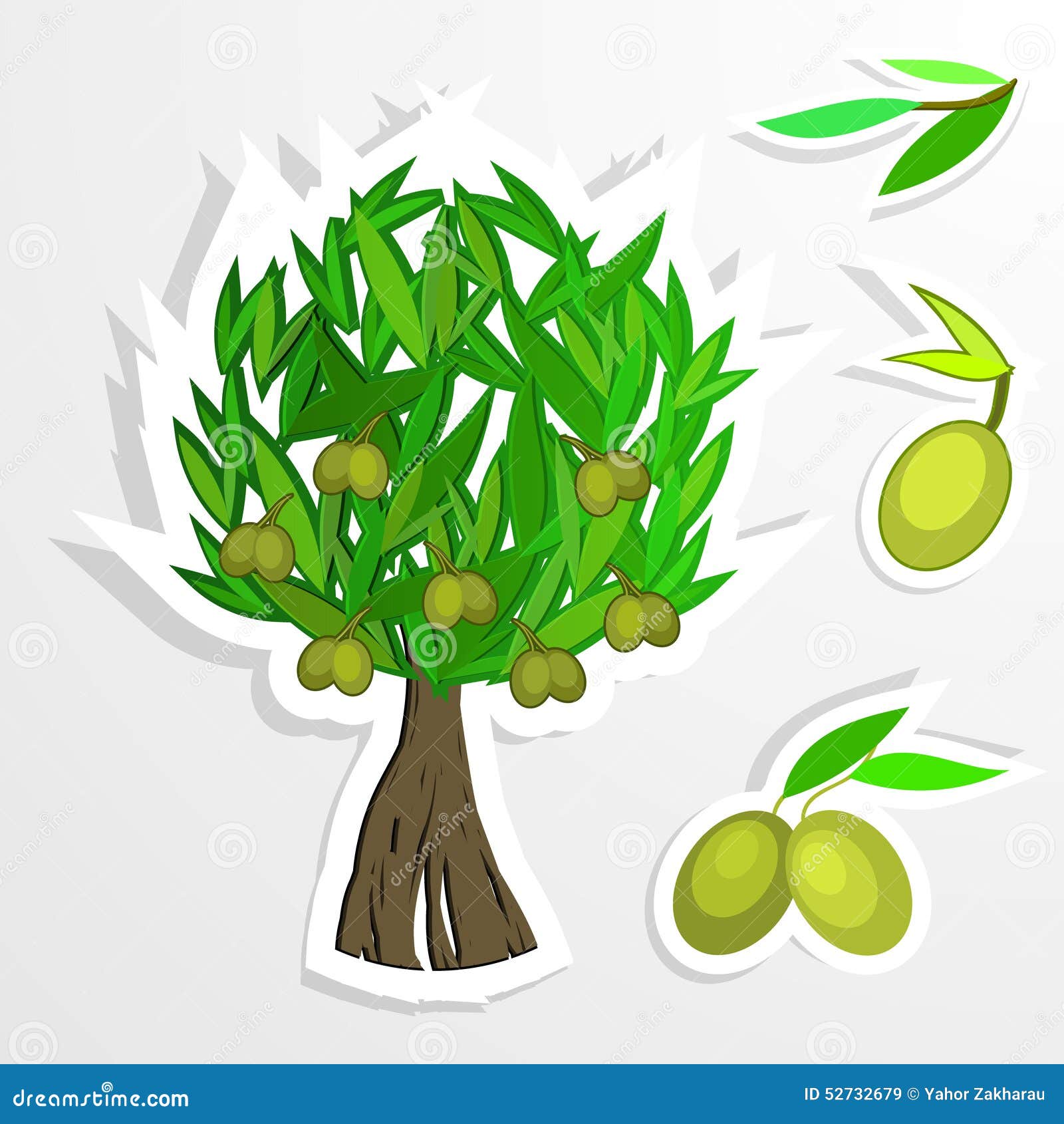 Tree on paper. Olive oil stock vector. Illustration of fruit - 52732679