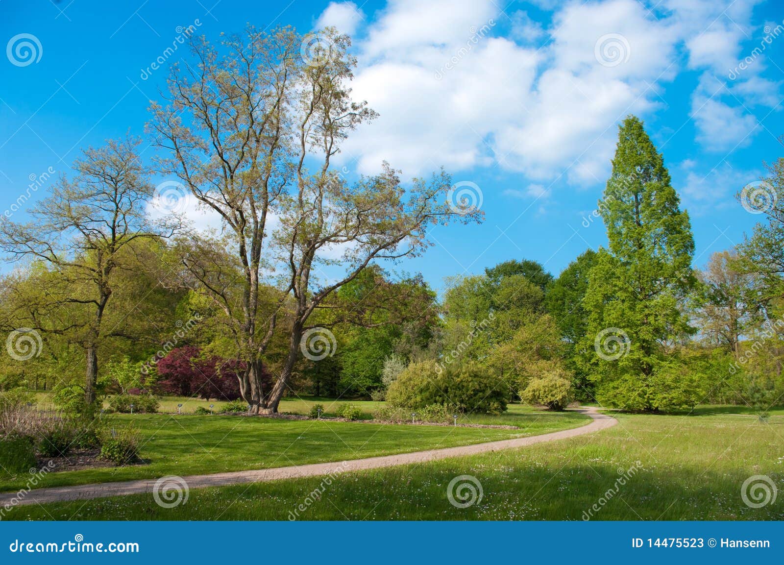 Tree park stock image. Image of picnic, season, colour - 14475523