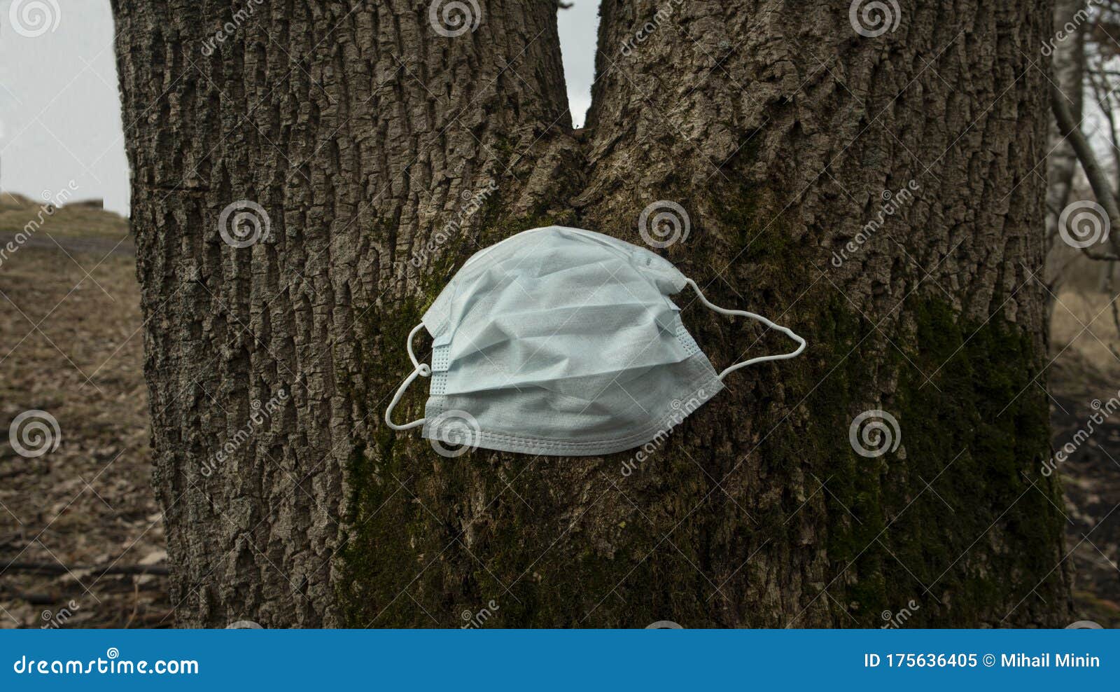 Tree in the Park in a Medical Mask Stock Image - Image of health ...
