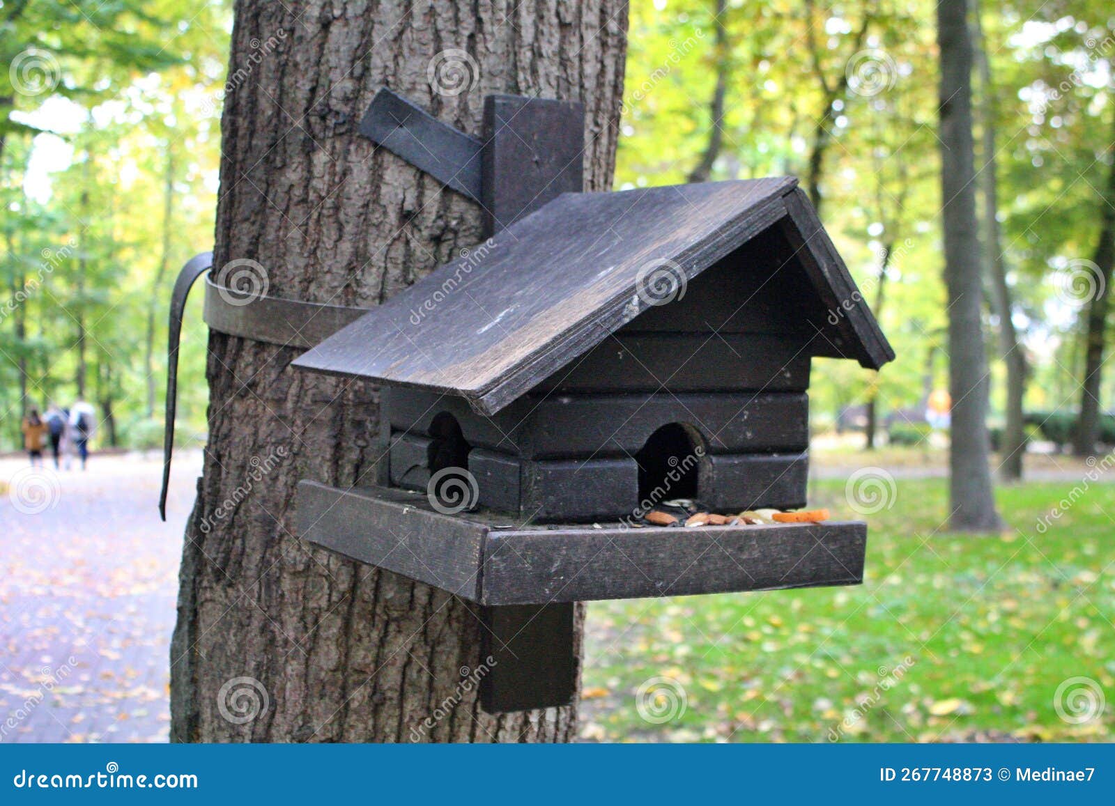 On a Tree in the Park Squirrel House Stock Image - Image of tree, park ...