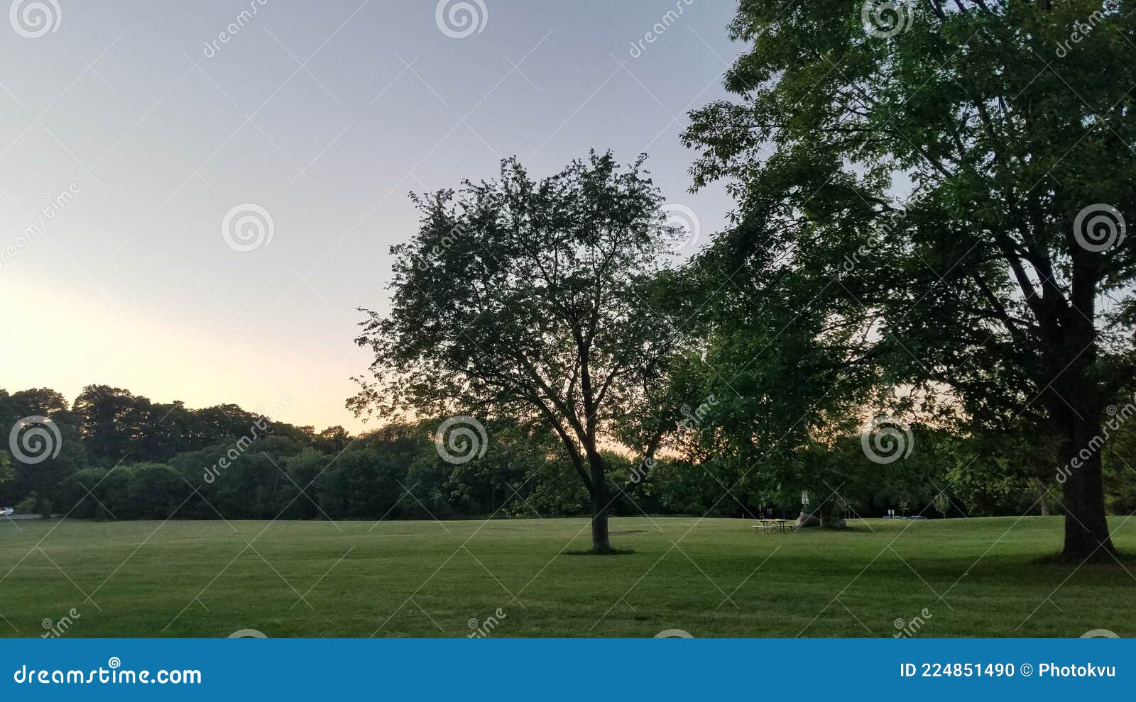 Tree in a Park during Sunset Stock Photo - Image of rays, spot: 224851490