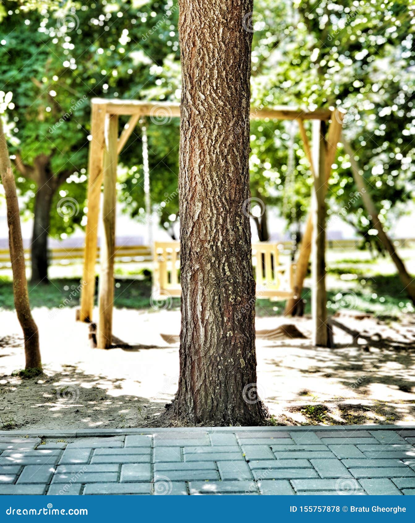 Tree in the park stock photo. Image of green, park, tree - 155757878