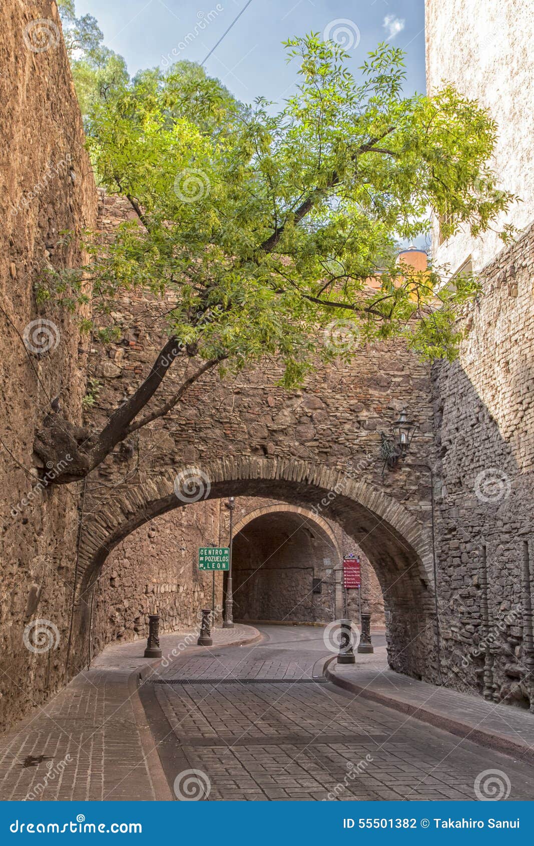 A Tree and Passageway in Guanajuato, Mexico Stock Photo - Image of ...