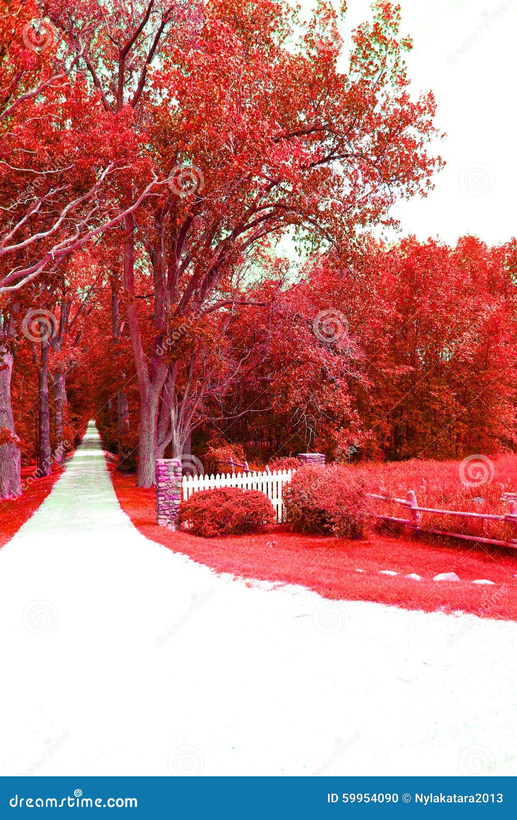 Tree pathway stock photo. Image of autum, colorful, entrance - 59954090