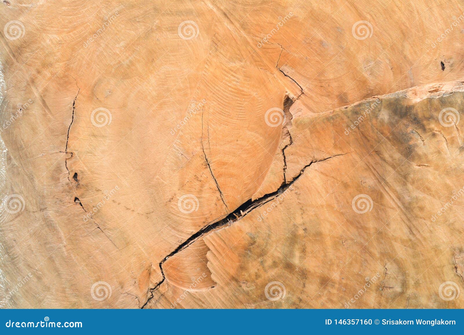 Tree Pattern Old Wood Pattern and Wood Tree Stock Photo - Image of ...