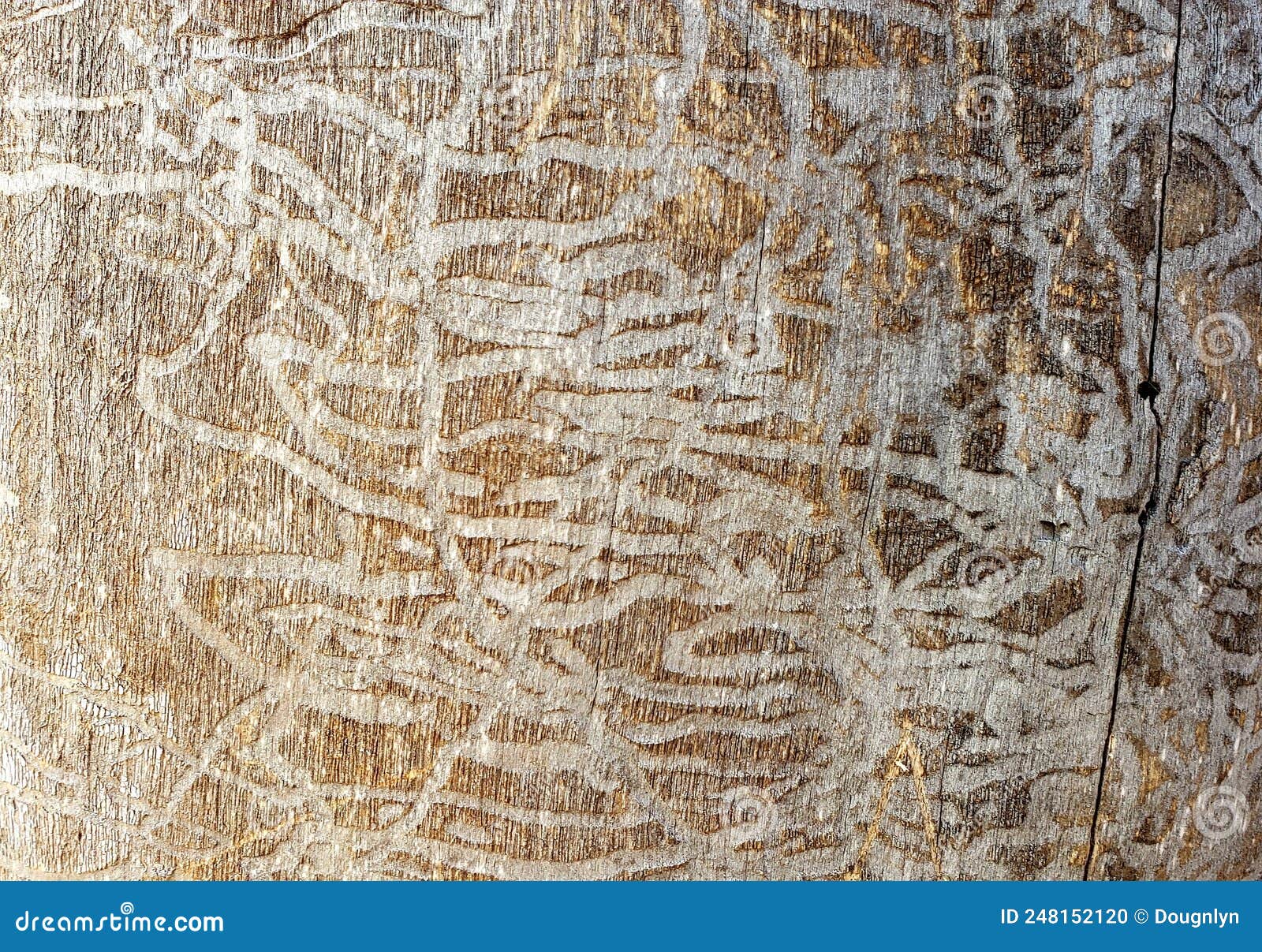 Tree with patterns by bugs stock photo. Image of wierd - 248152120