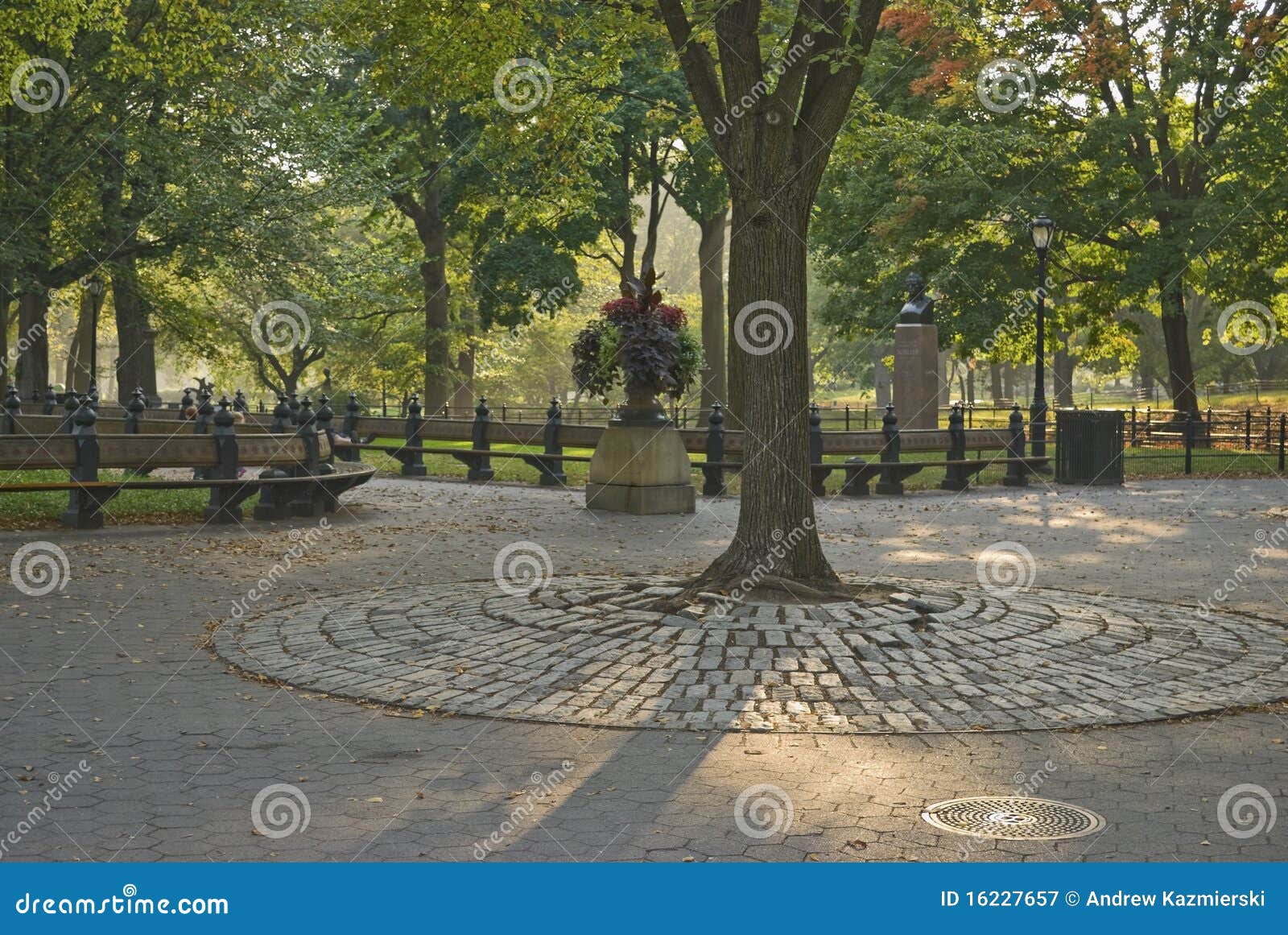 Tree Pavers stock image. Image of central, stone, urban - 16227657